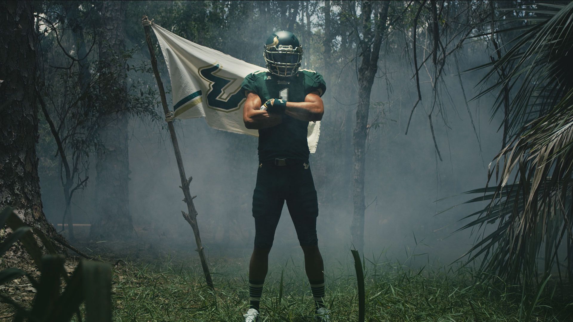 USF Wallpapers - Wallpaper Cave