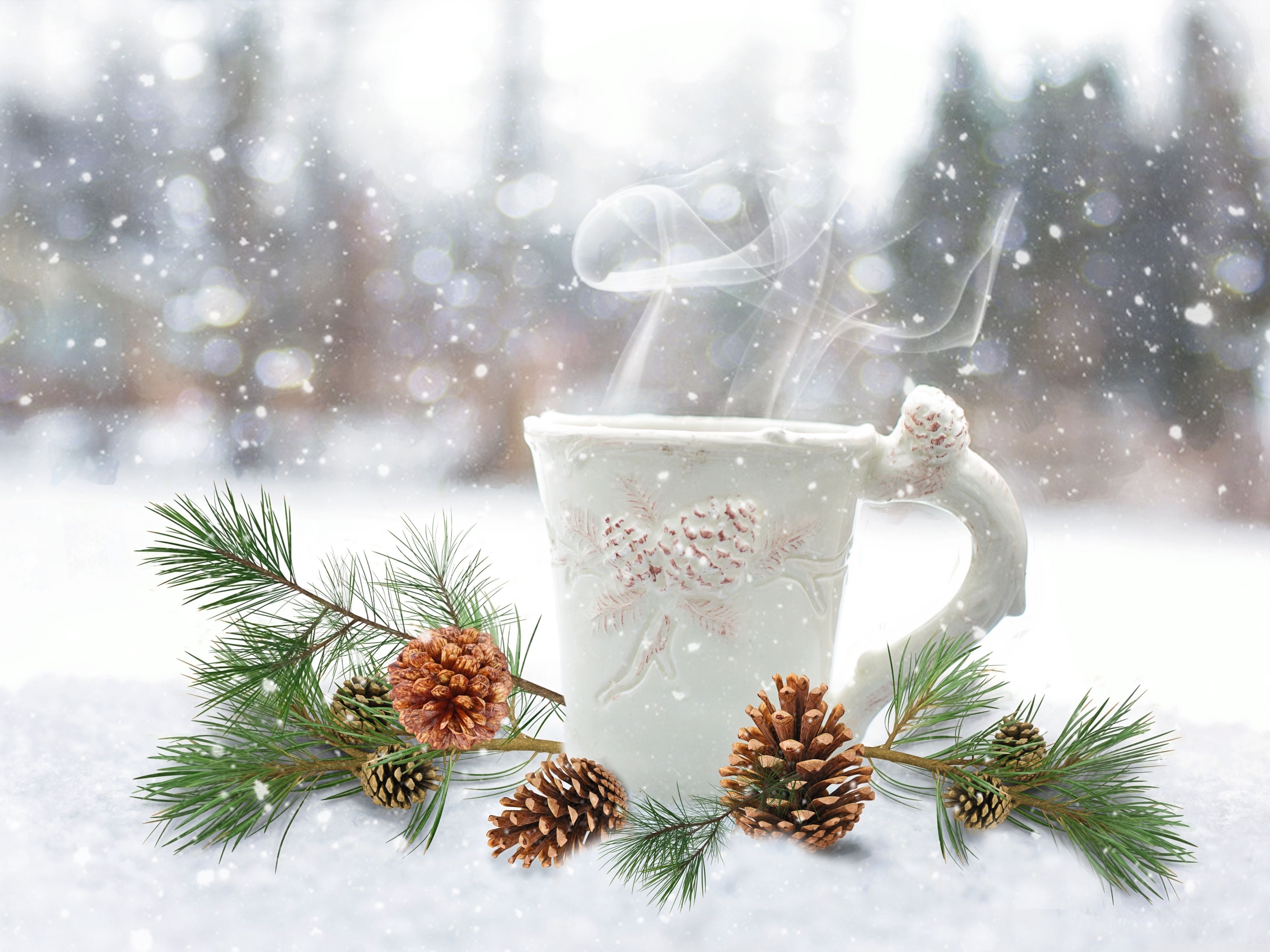 Tea Winter And Books Wallpapers - Wallpaper Cave