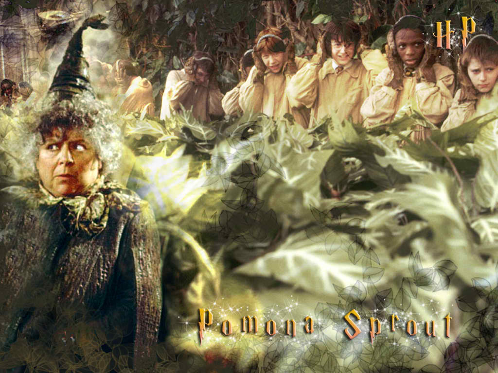 Professor Sprout Wallpapers - Wallpaper Cave