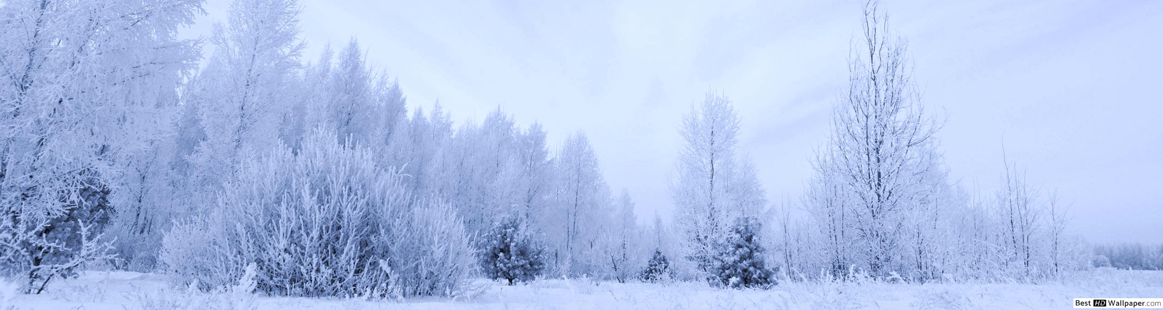 Triple Winter Wallpapers - Wallpaper Cave