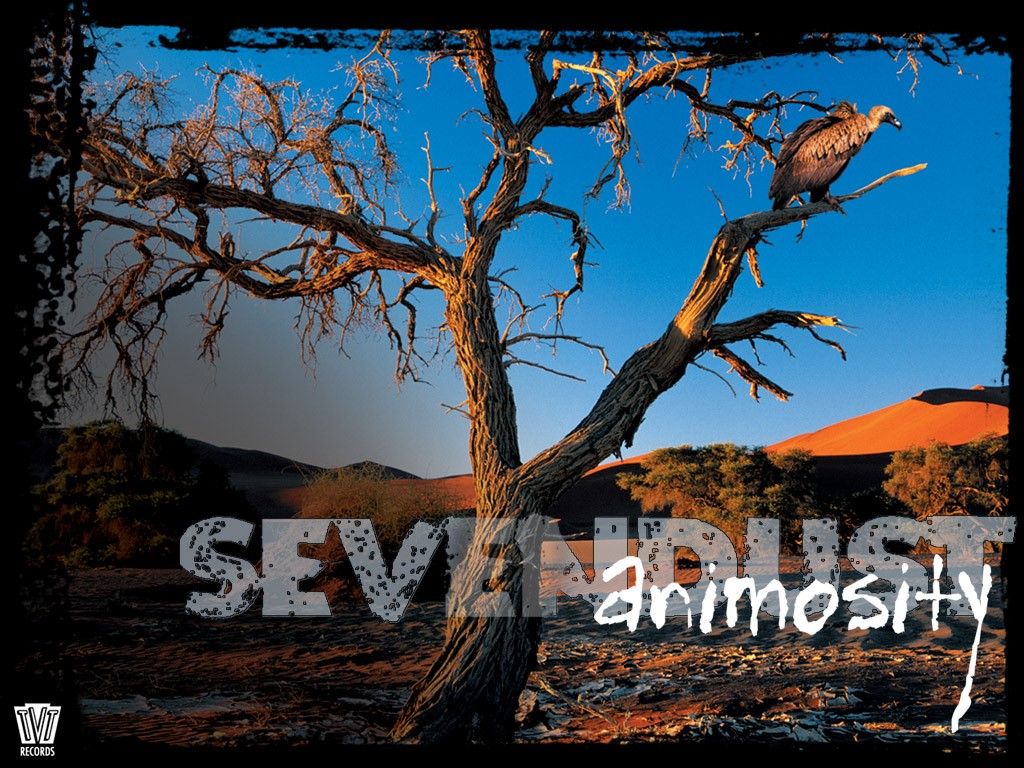 Sevendust Wallpapers - Wallpaper Cave