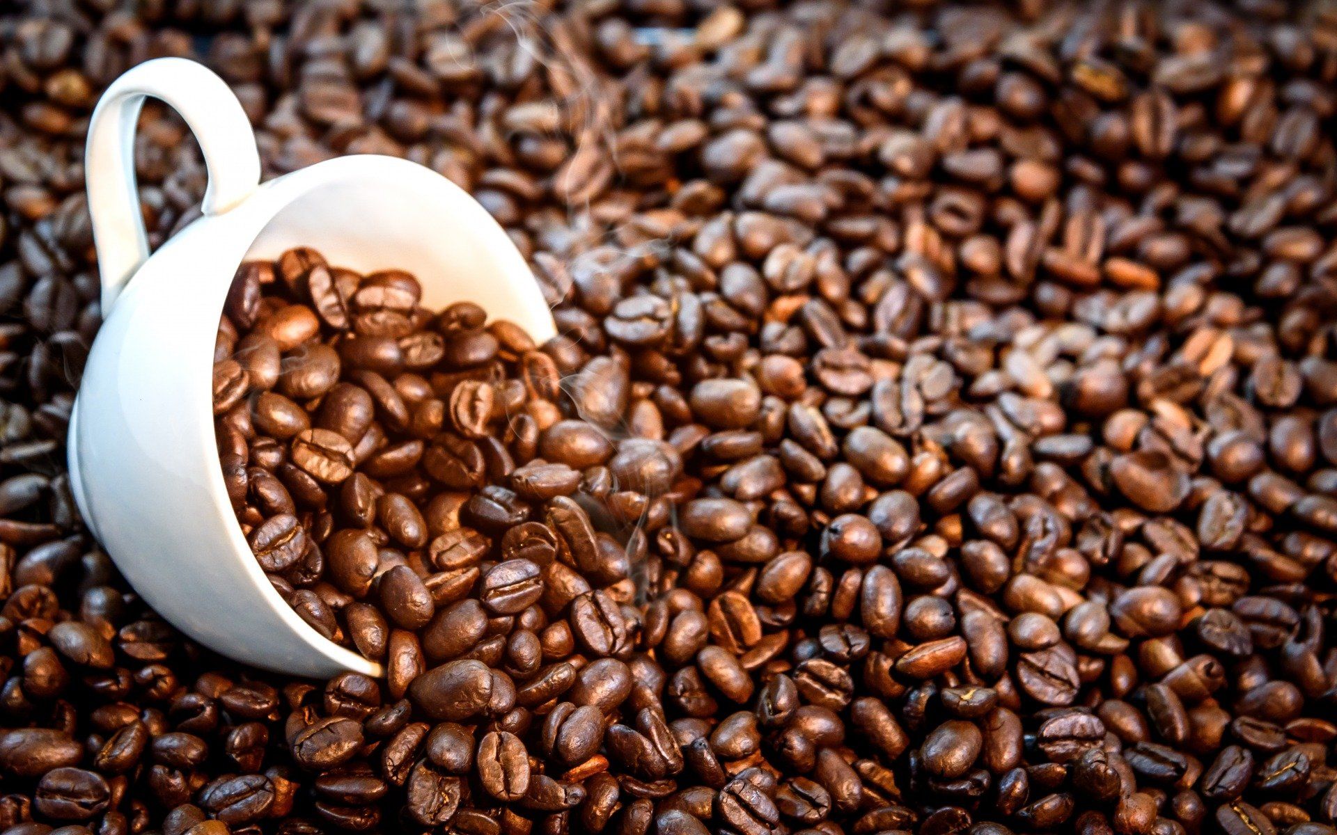 Coffee Bean Wallpapers Wallpaper Cave
