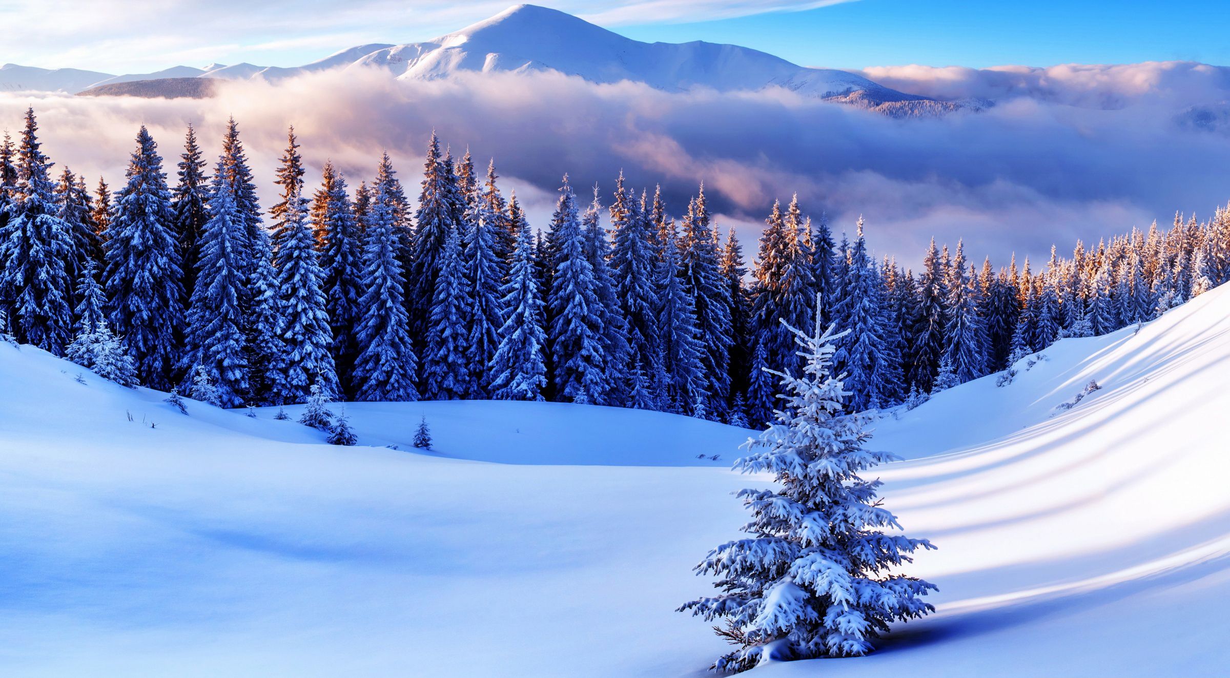 Winter Beauty Wallpapers - Wallpaper Cave