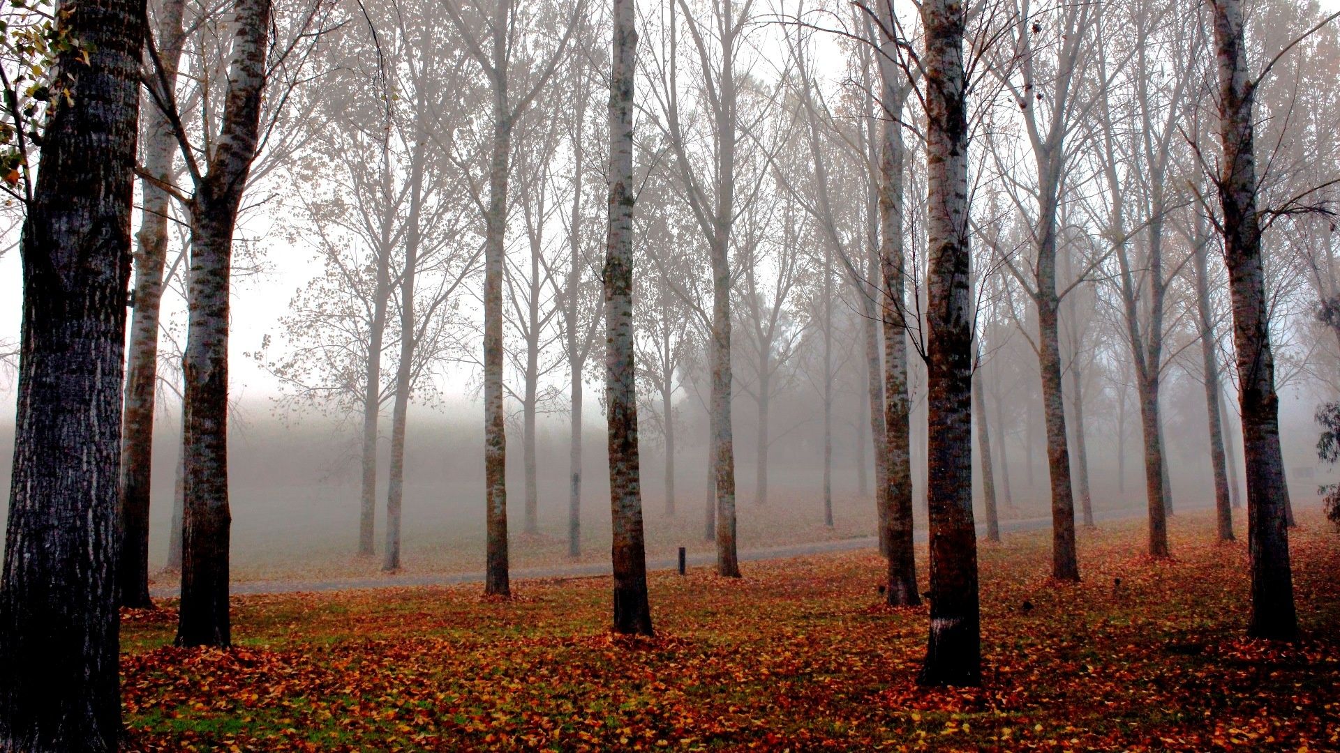 Early Morning Wallpapers - Wallpaper Cave