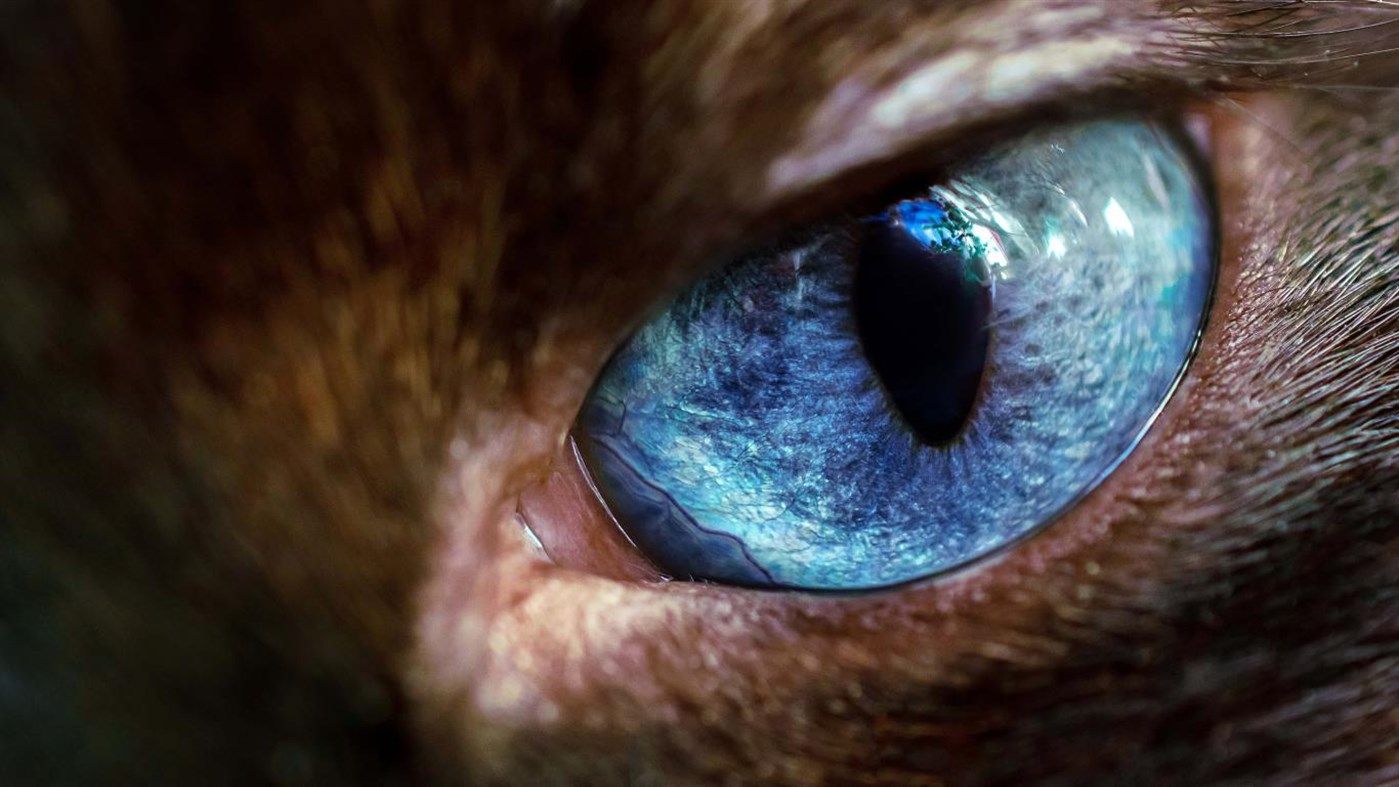 Windows 2021 Wallpapers - Wallpaper Cave