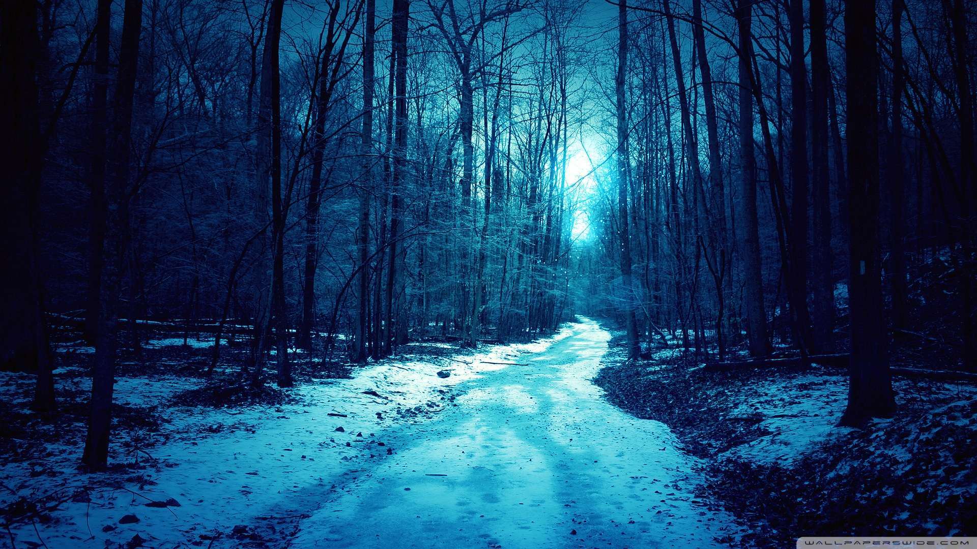 Cold Winters Wallpapers - Wallpaper Cave