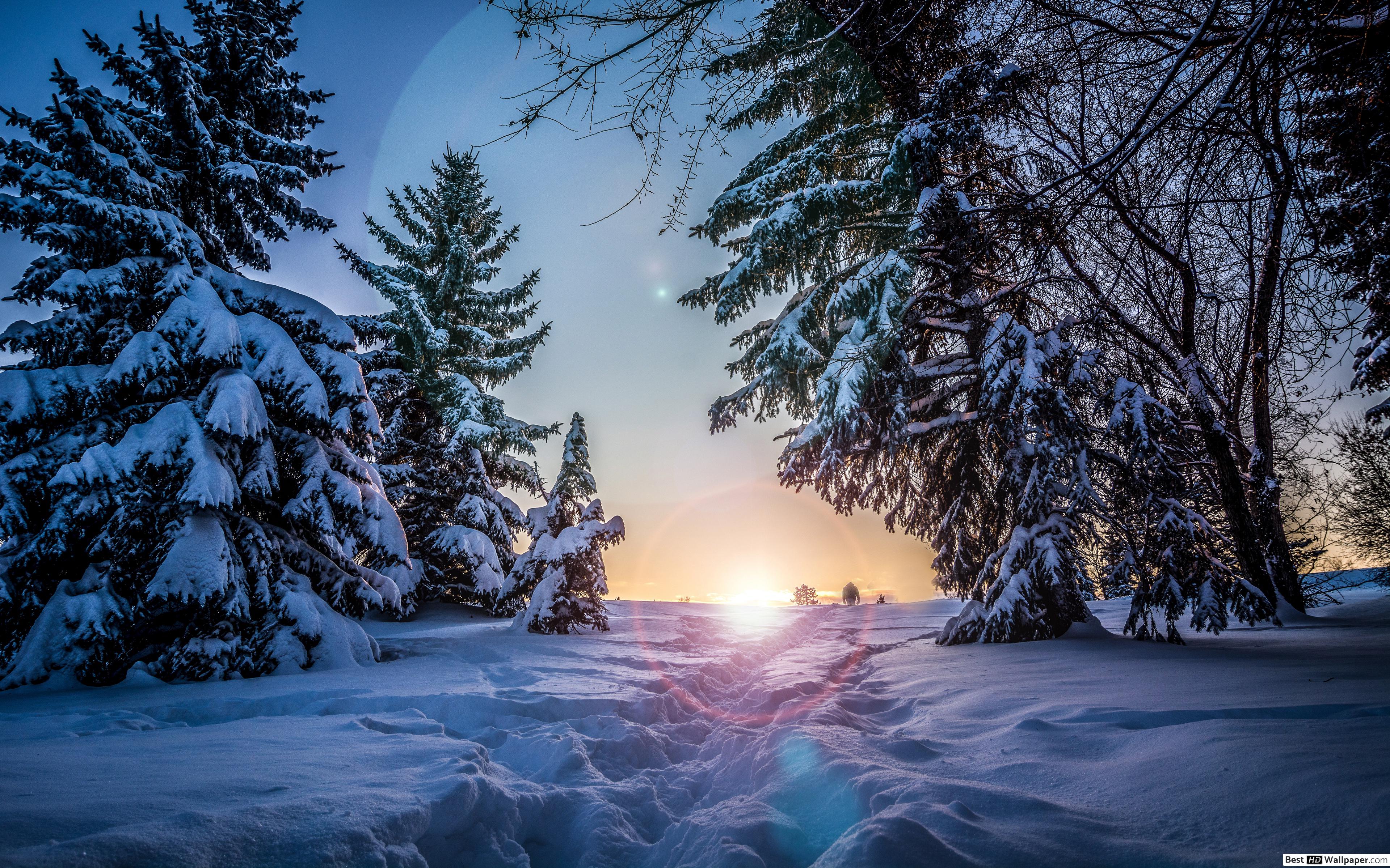 Winter's Day Wallpapers - Wallpaper Cave