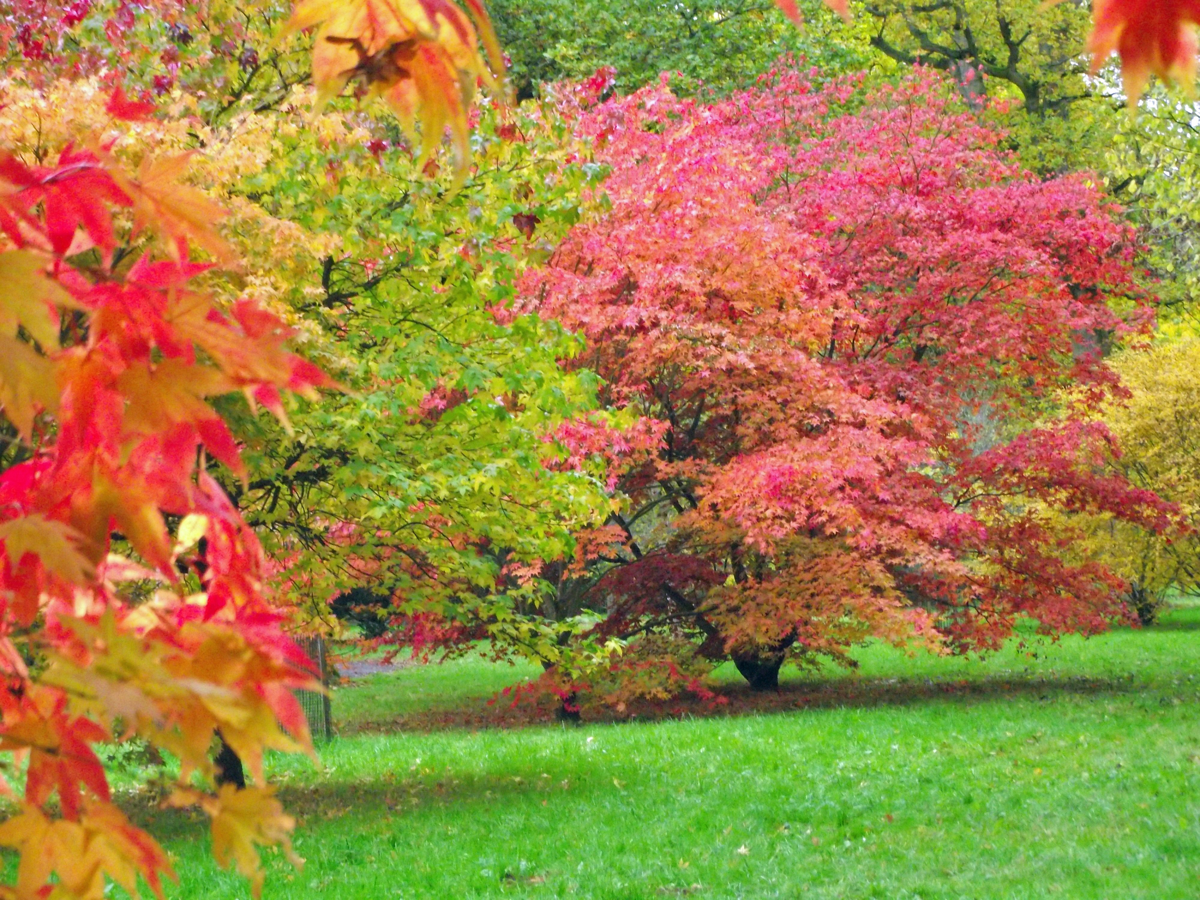 Autumn Colourful Wallpapers - Wallpaper Cave