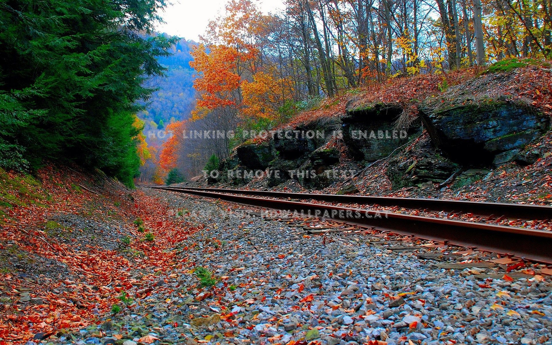Autumn Trains Wallpapers - Wallpaper Cave