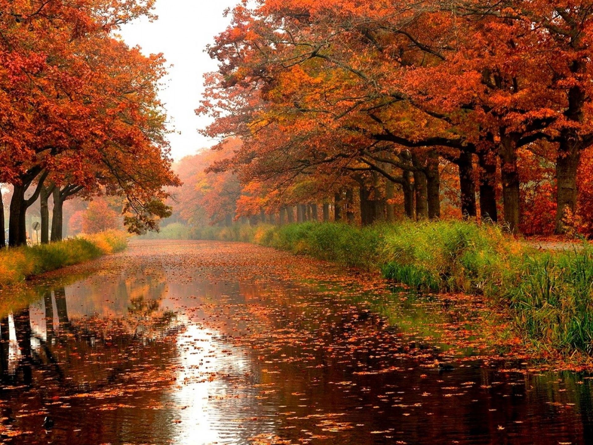 Autumn Colourful Wallpapers - Wallpaper Cave