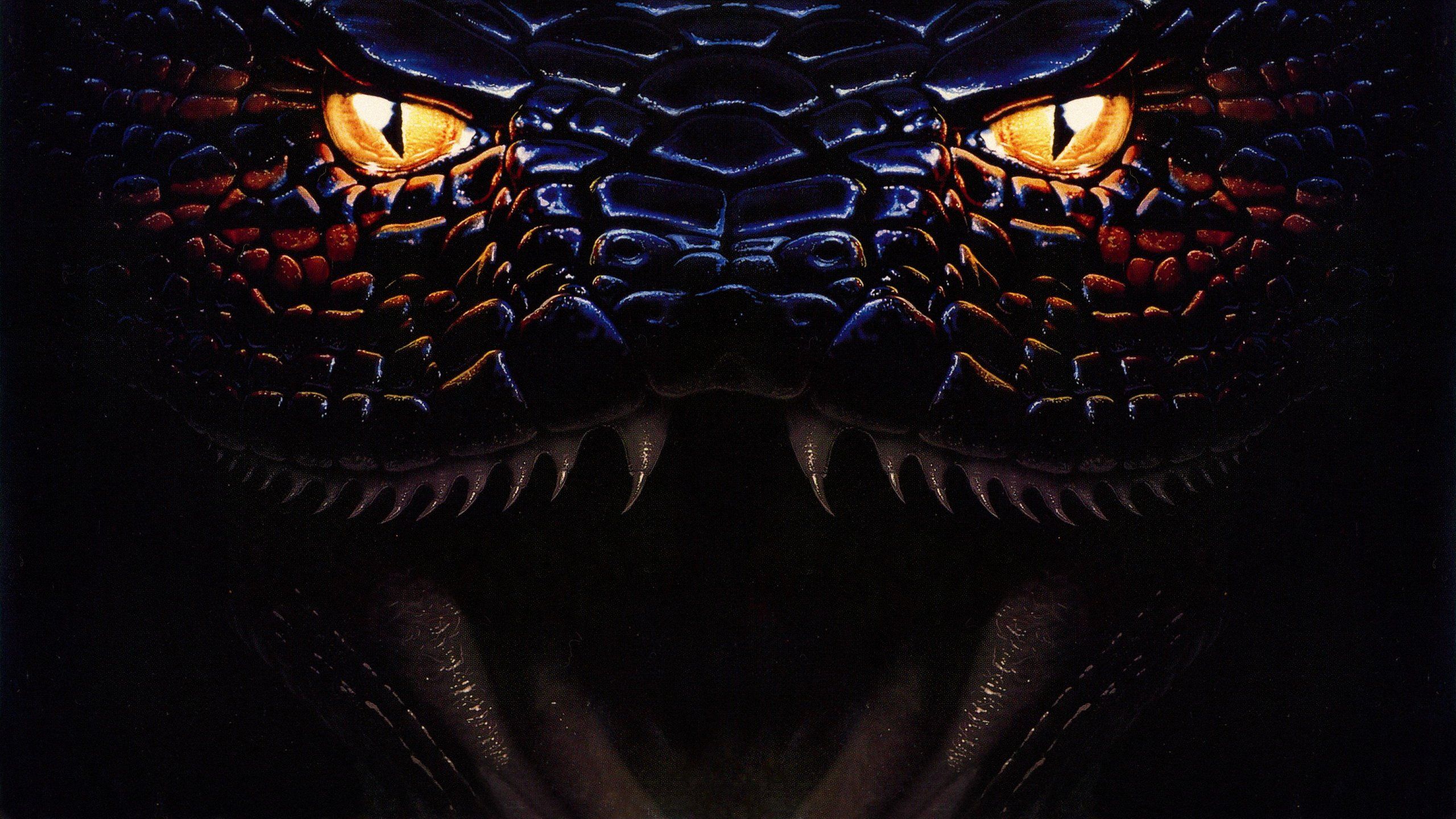 Anacondas Wallpapers - Wallpaper Cave