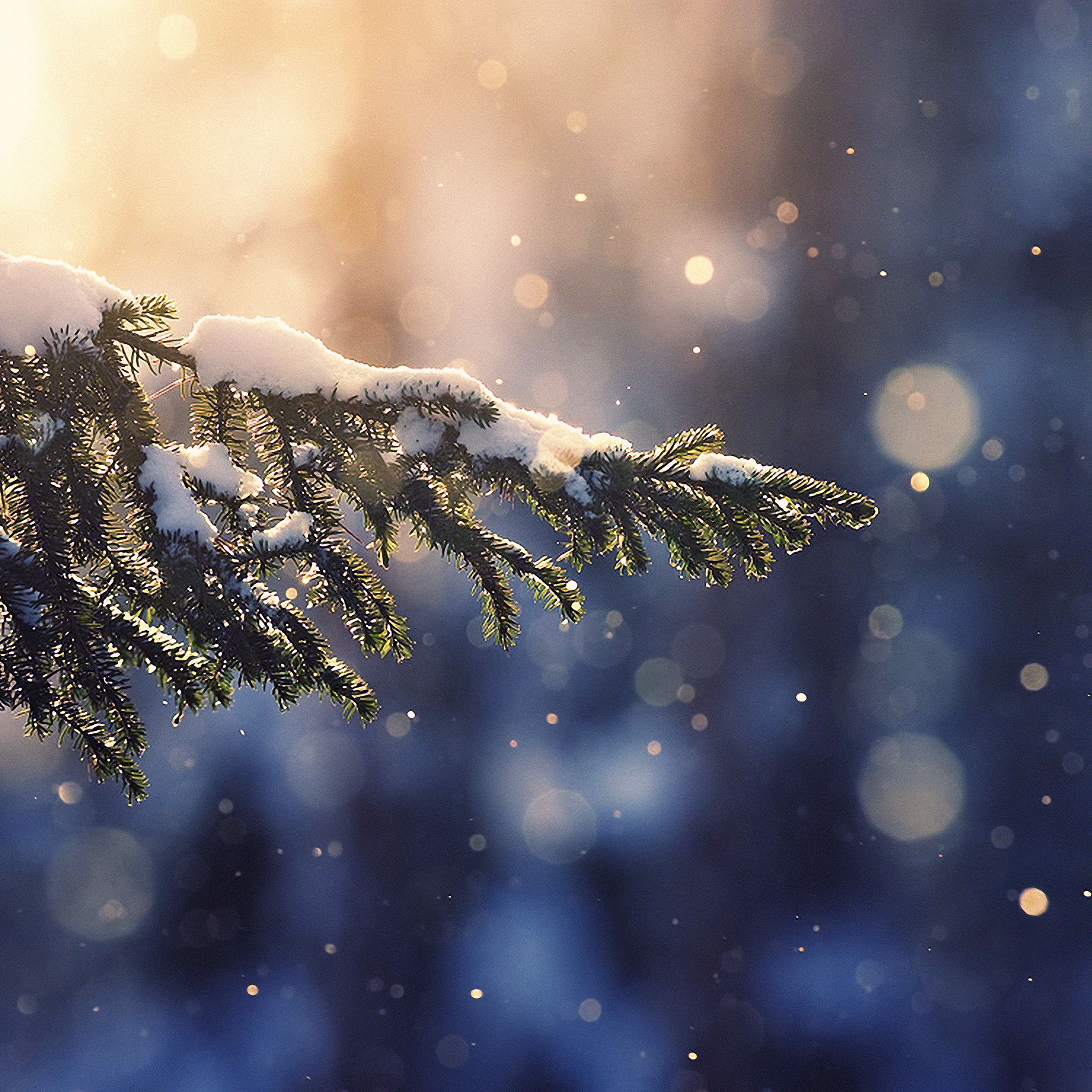 Christmas Winter Blue Wallpapers - Wallpaper Cave