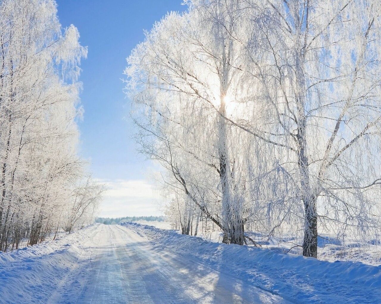 Winter Sunny Wallpapers - Wallpaper Cave