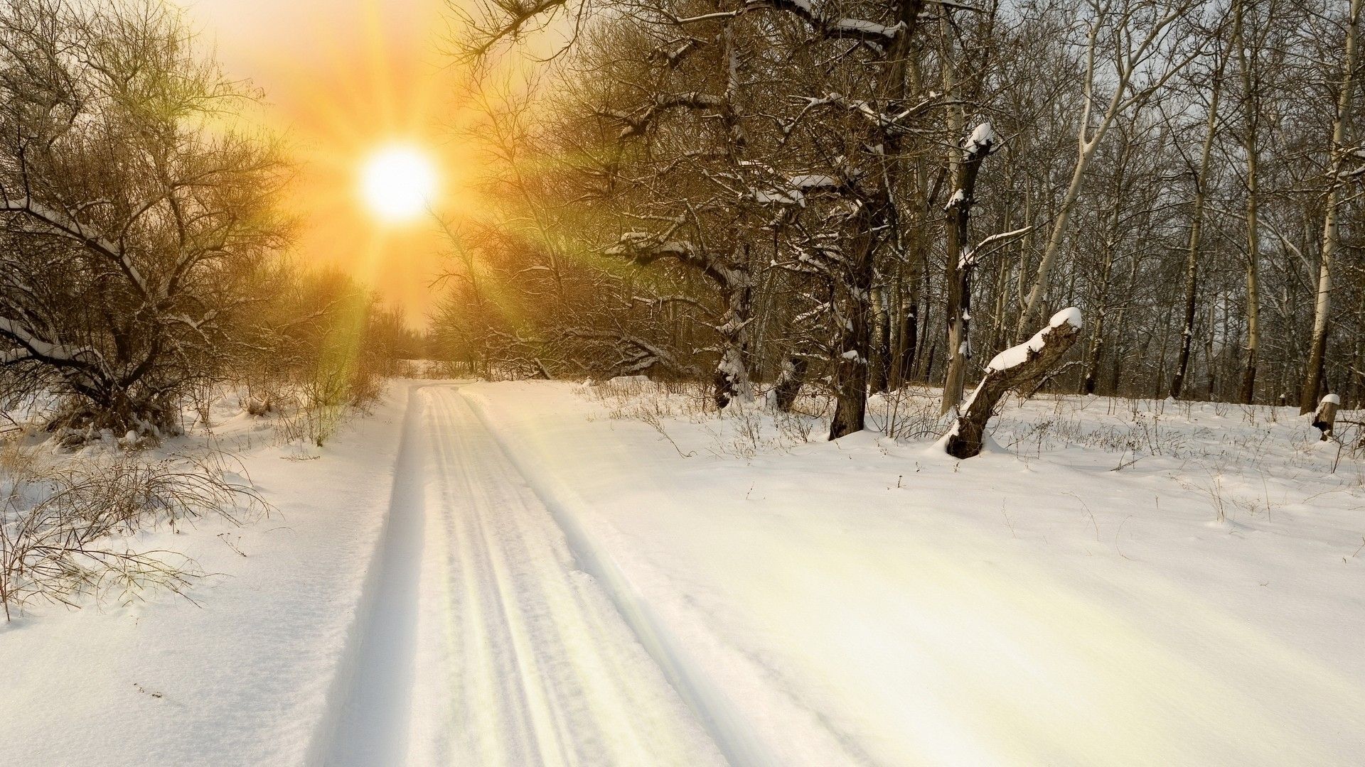 Winter Sunny Wallpapers - Wallpaper Cave