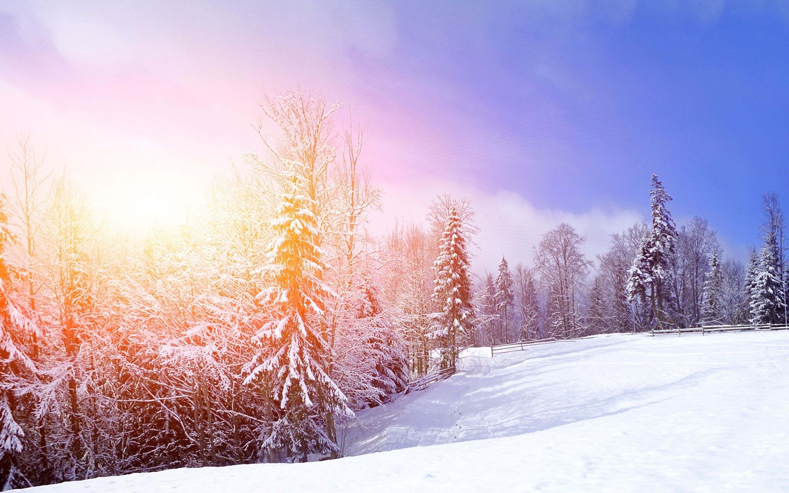 Winter Sunny Wallpapers - Wallpaper Cave