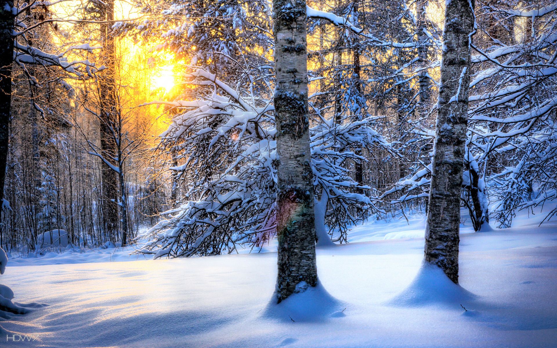 Winter Sunny Wallpapers - Wallpaper Cave