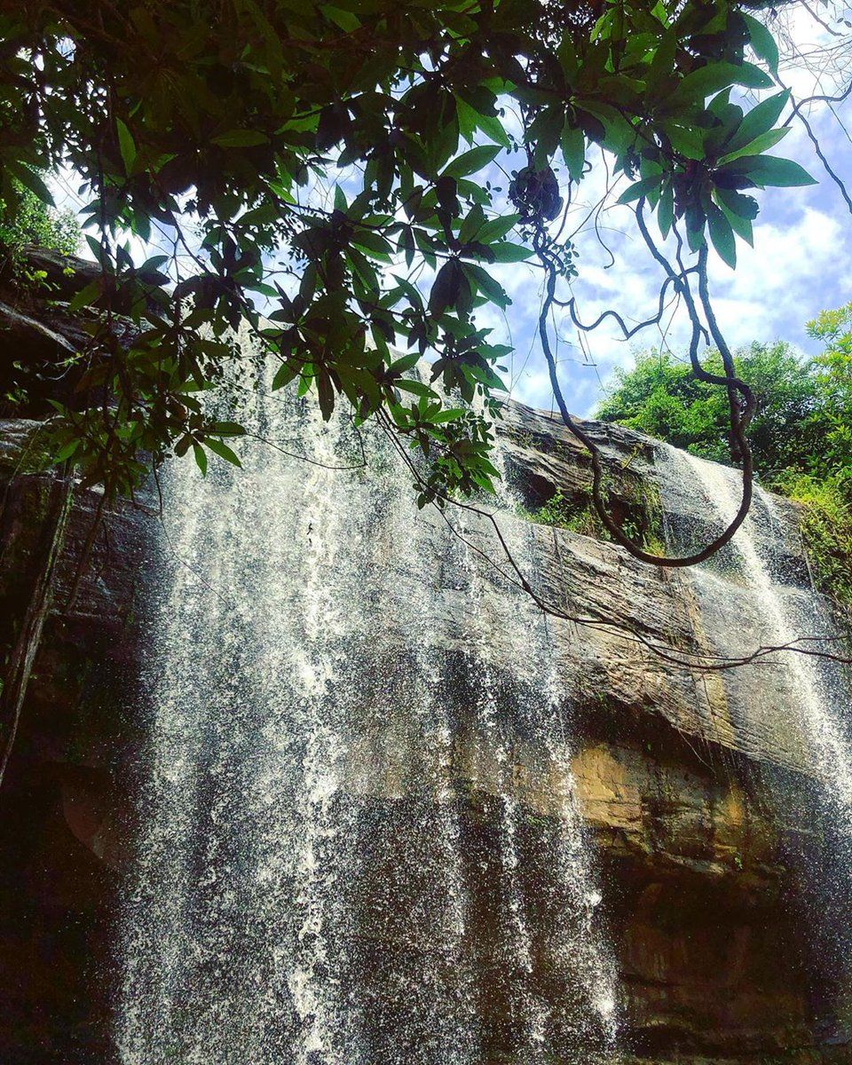 Shimba Hills National Reserve Wallpapers - Wallpaper Cave