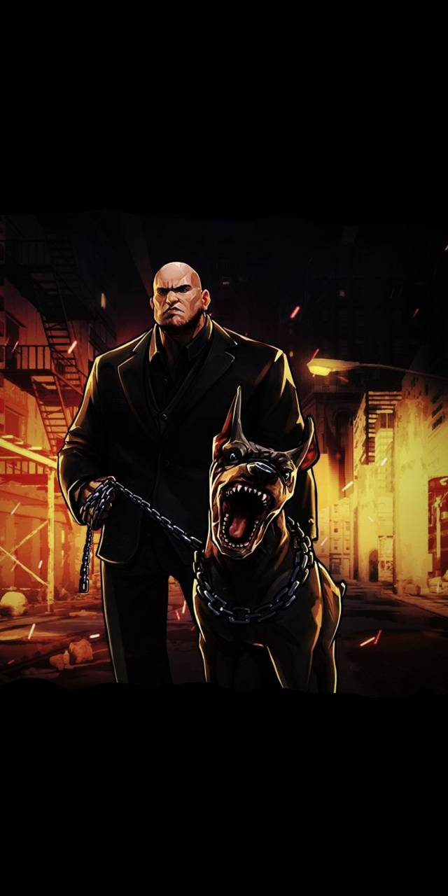 Dogs 2021 Wallpapers - Wallpaper Cave