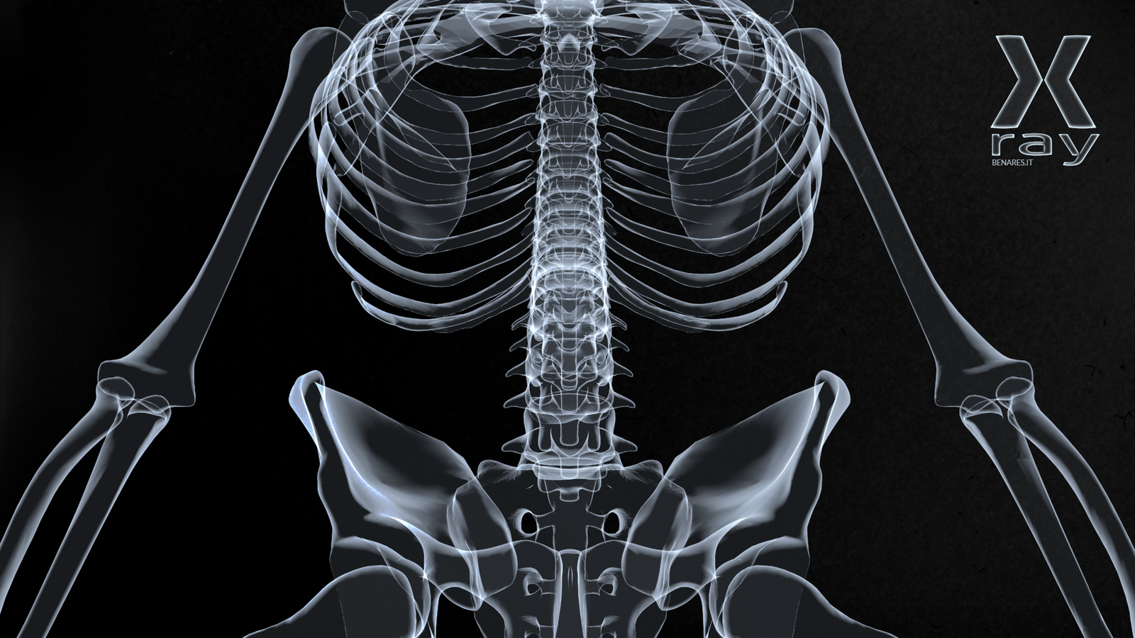 X-ray Vision Wallpapers - Wallpaper Cave
