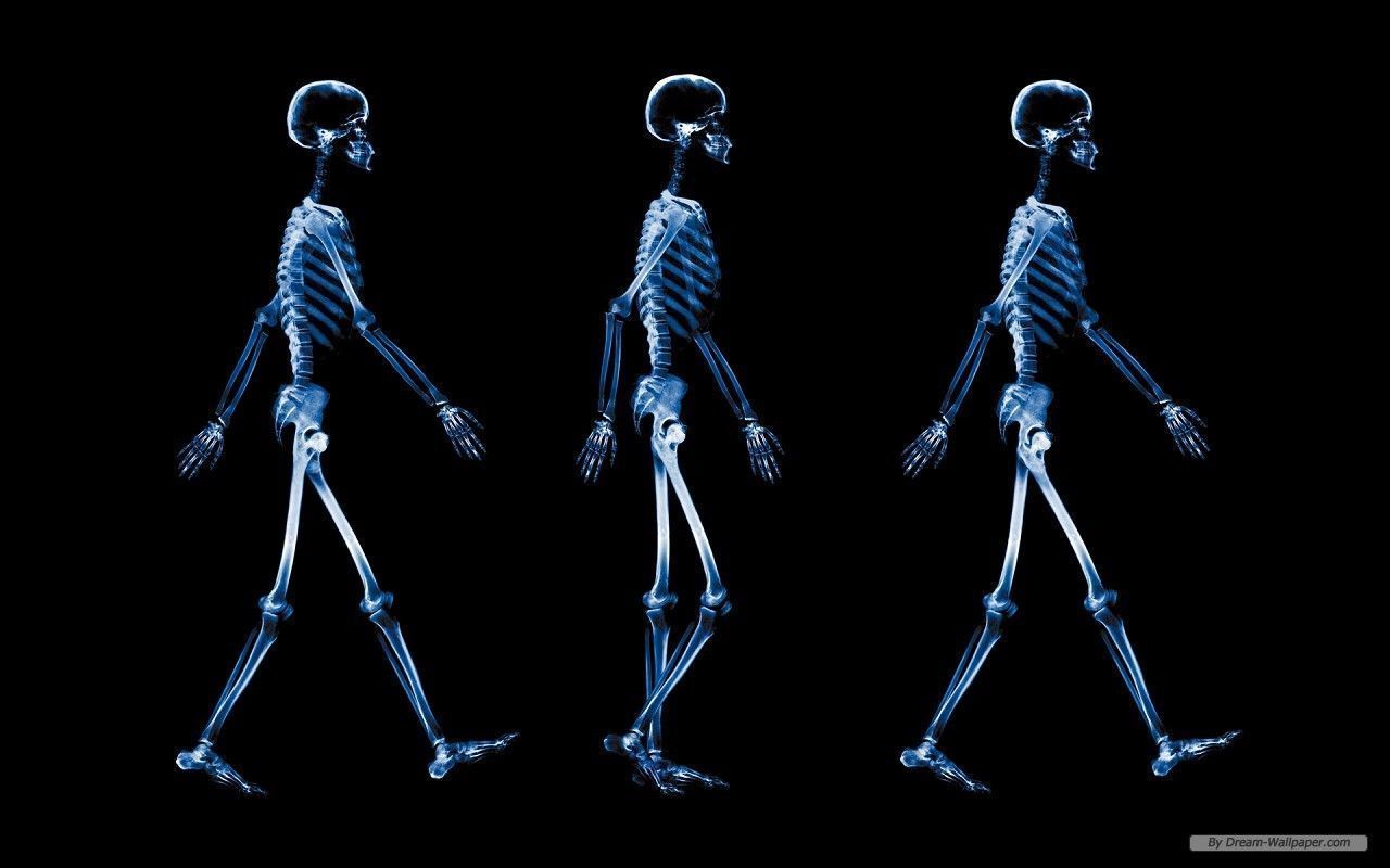 X-ray Vision Wallpapers - Wallpaper Cave