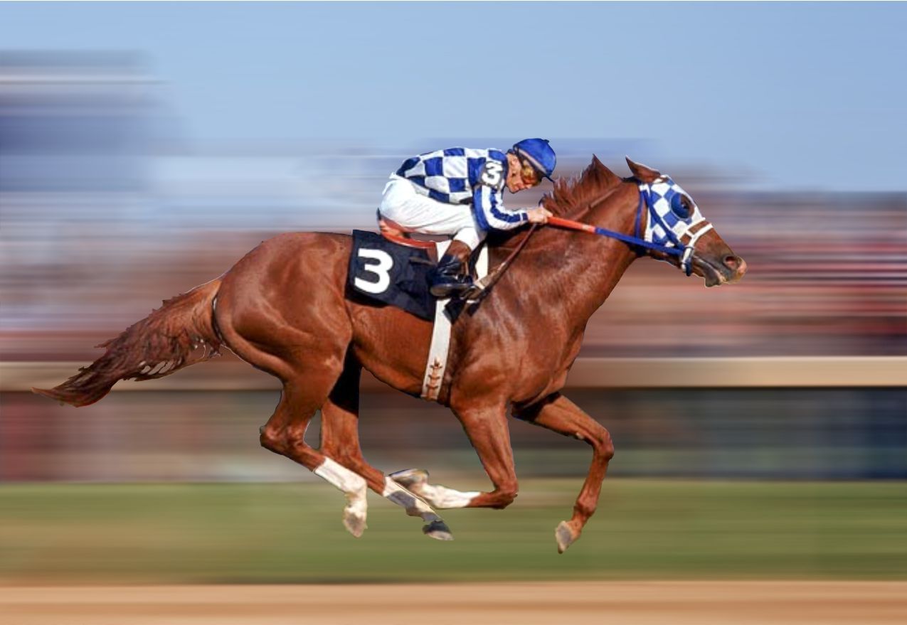 Secretariat Wallpapers Wallpaper Cave Secretariat Wallpapers Wallpaper Cave