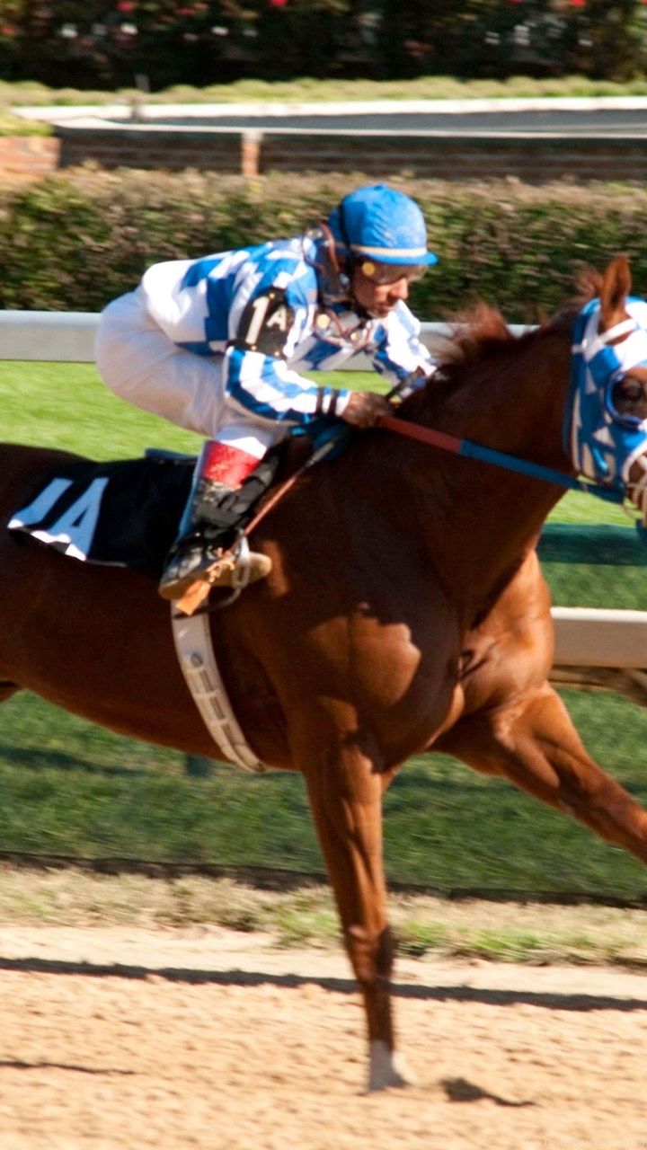 Secretariat Wallpapers - Wallpaper Cave