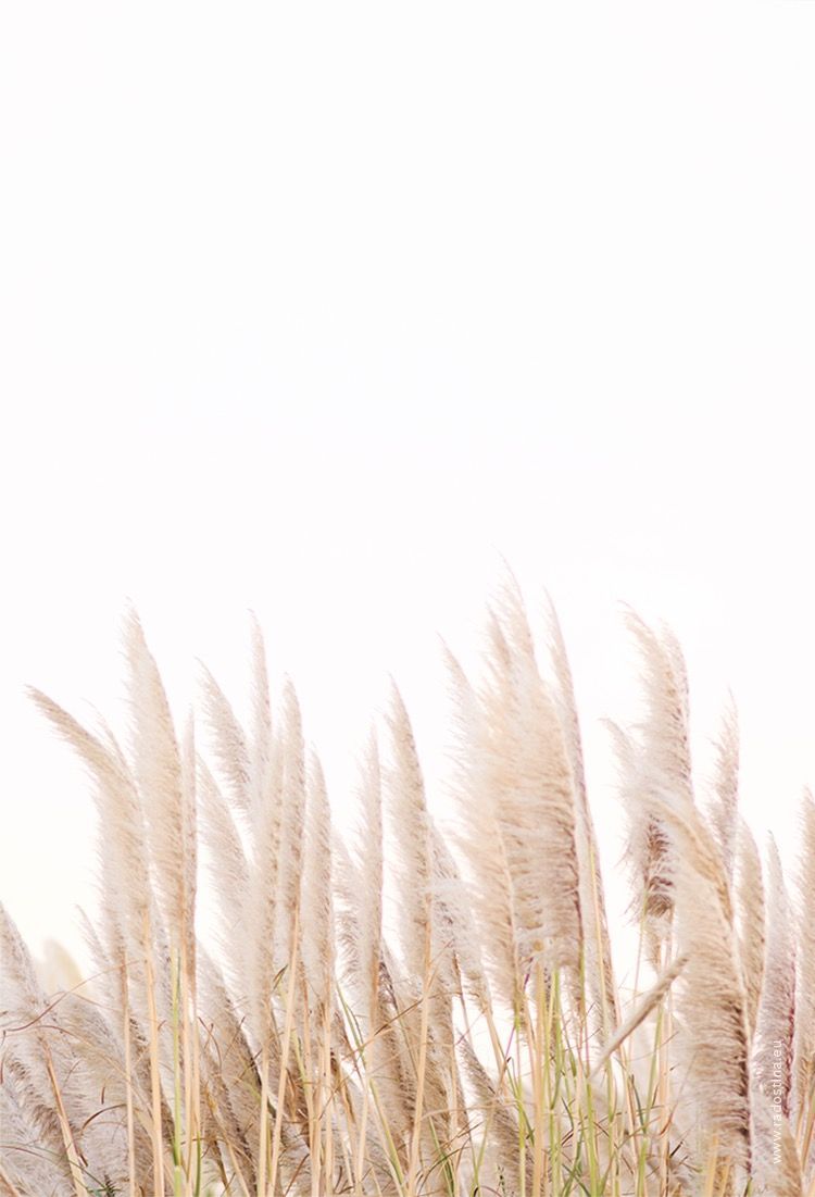 Aesthetic Caramel Wallpapers - Wallpaper Cave