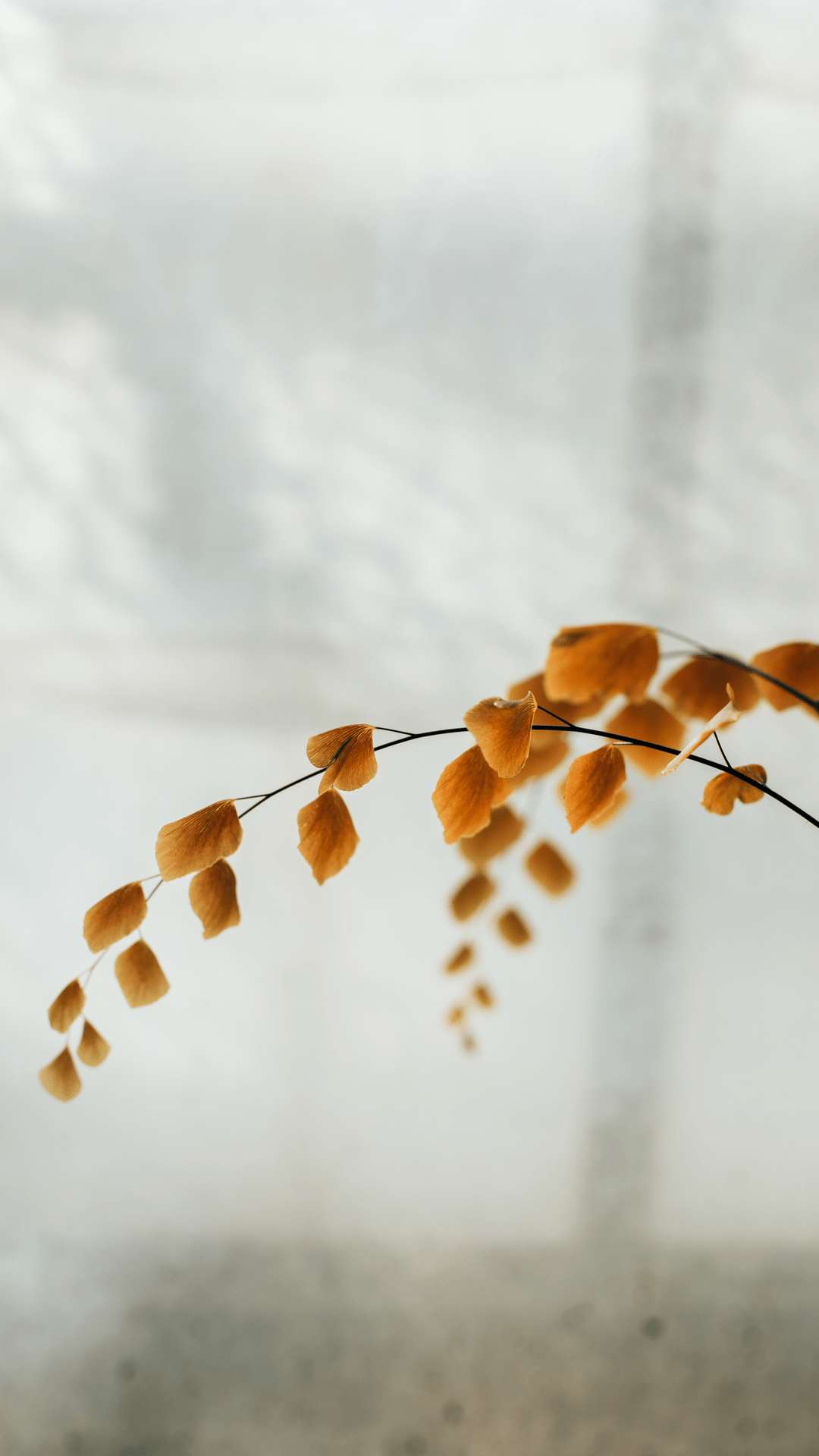 Aesthetic Caramel Wallpapers - Wallpaper Cave