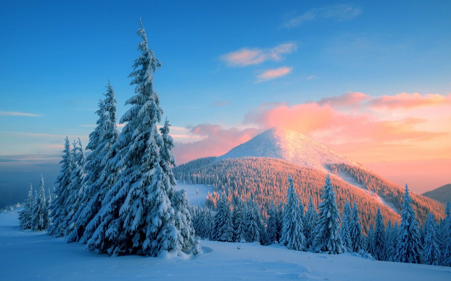 Winter Mountain Trees Wallpapers - Wallpaper Cave