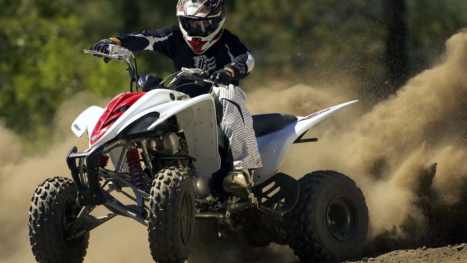 Yamaha Raptor Wallpapers - Wallpaper Cave