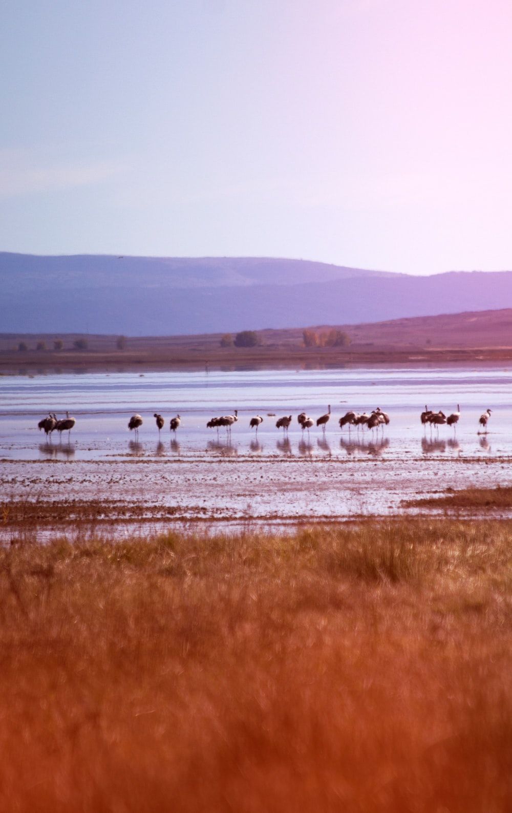 Biodiversity Wallpapers - Wallpaper Cave