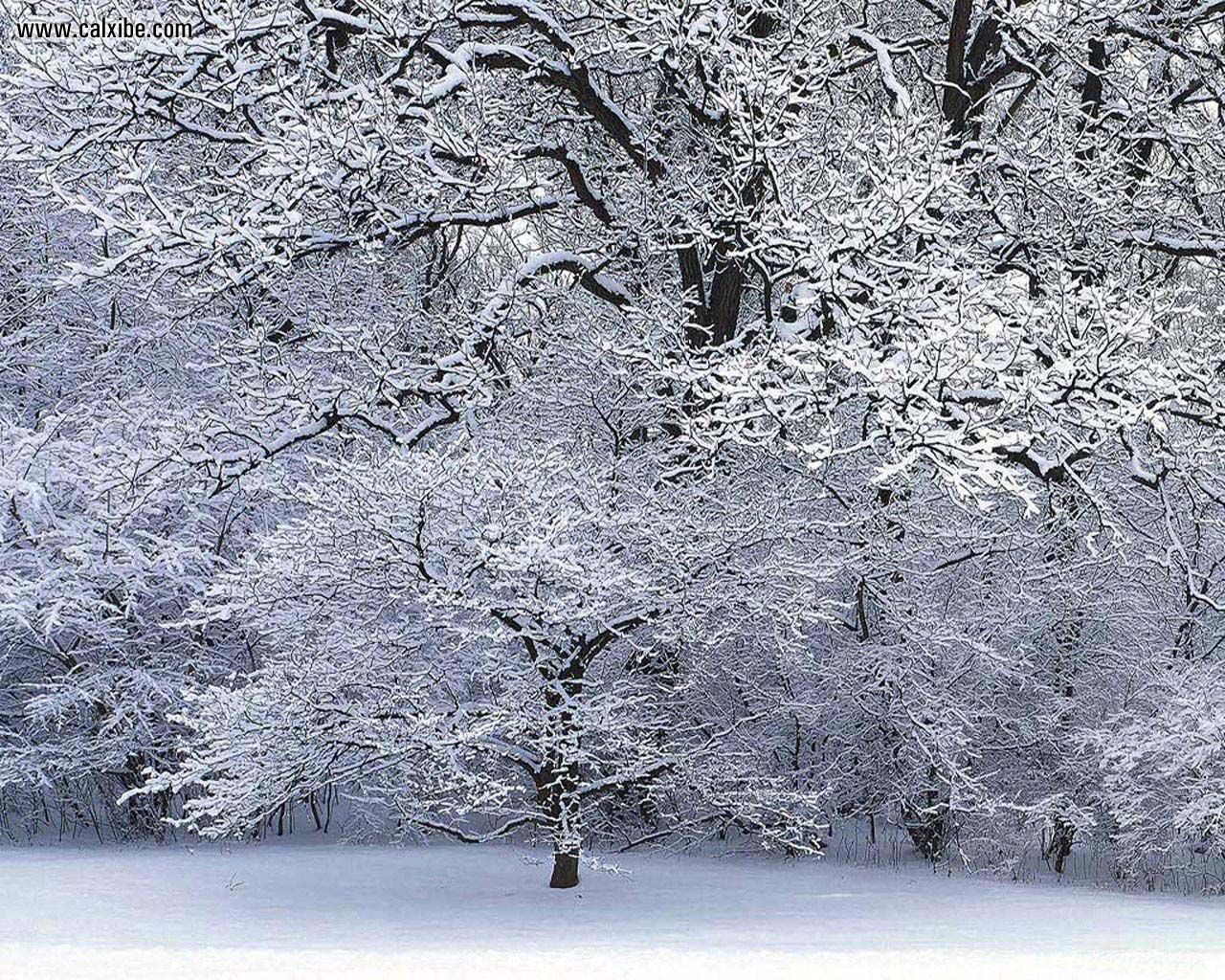 Winterscapes Wallpapers - Wallpaper Cave