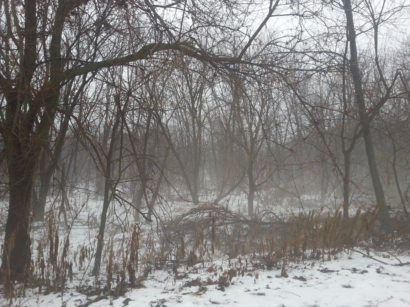 Winterscapes Wallpapers - Wallpaper Cave