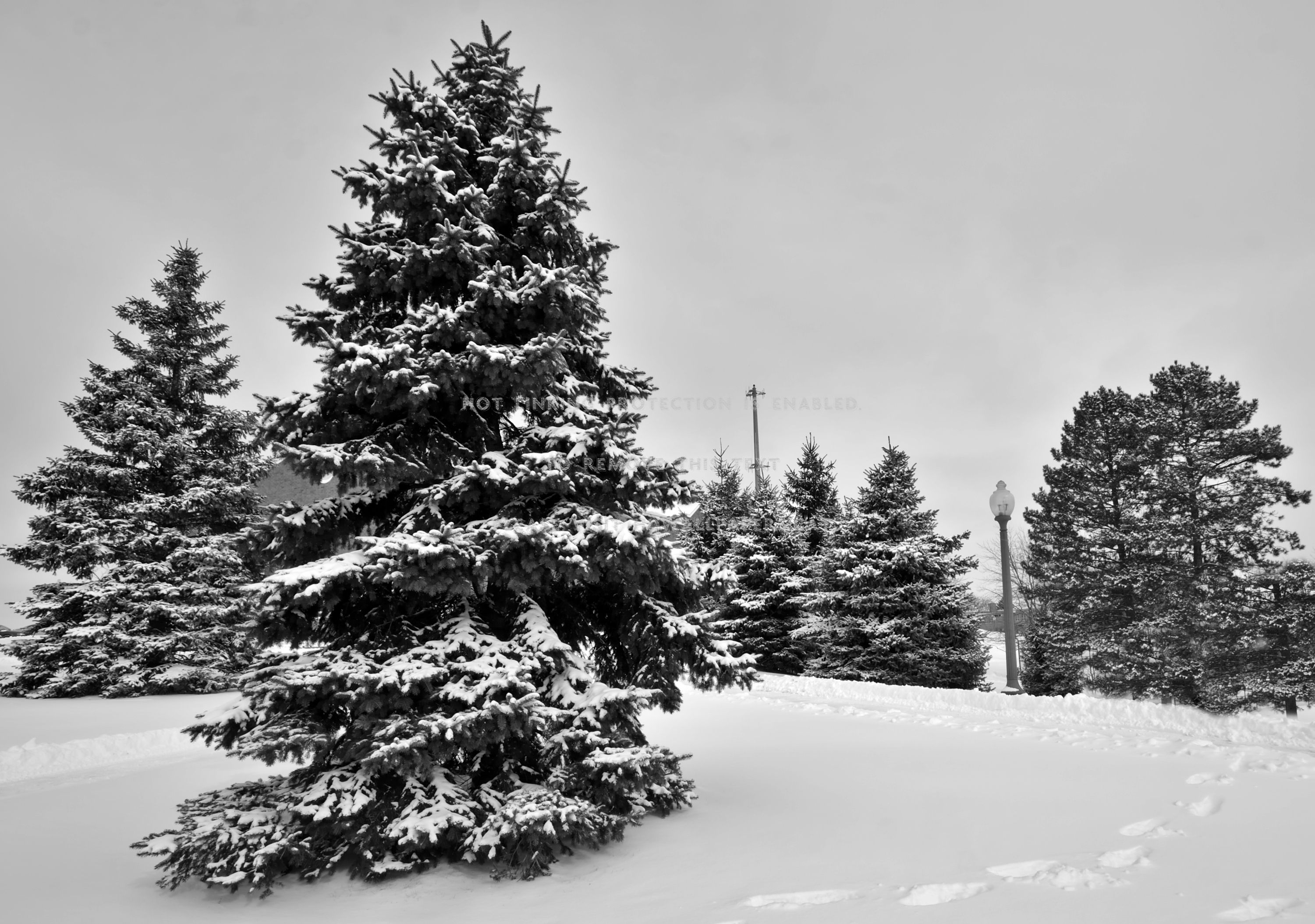 Winterscapes Wallpapers - Wallpaper Cave