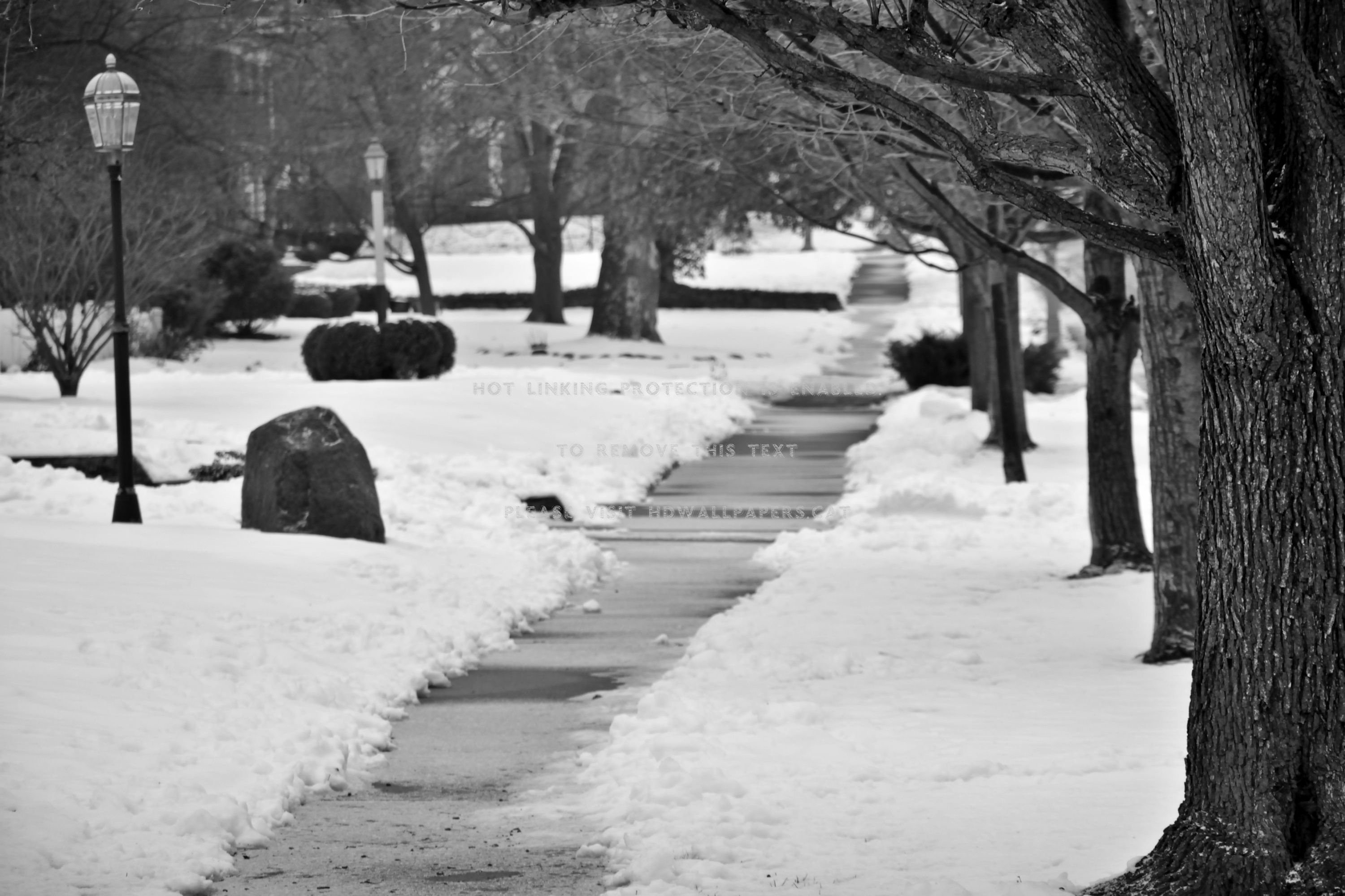 Winterscapes Wallpapers - Wallpaper Cave