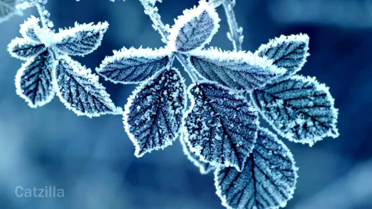 Winter Season HD Wallpapers - Wallpaper Cave