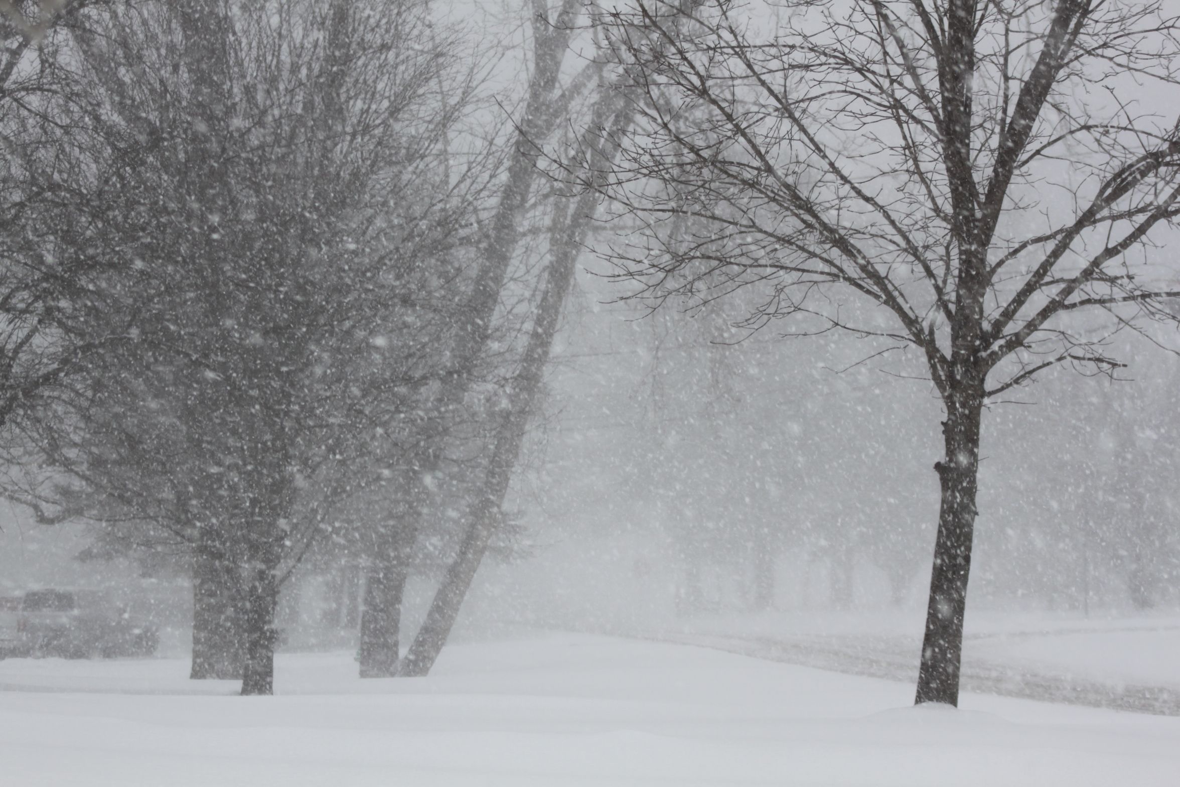 Snow Falling Winter Scenes Wallpapers - Wallpaper Cave