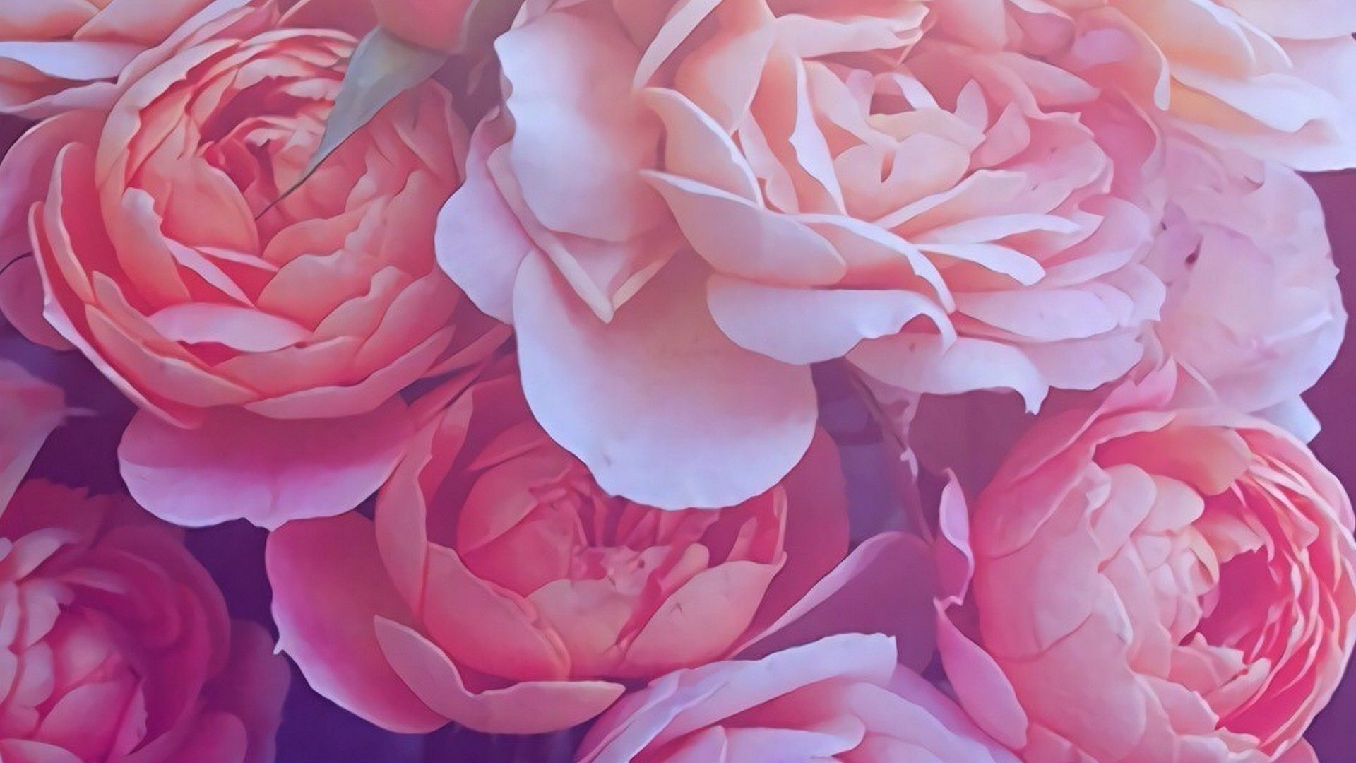 Rose For Computer Wallpapers - Wallpaper Cave