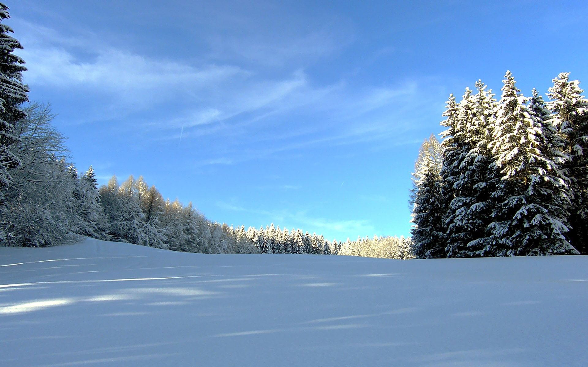 Widescreen Winter Wallpapers - Wallpaper Cave