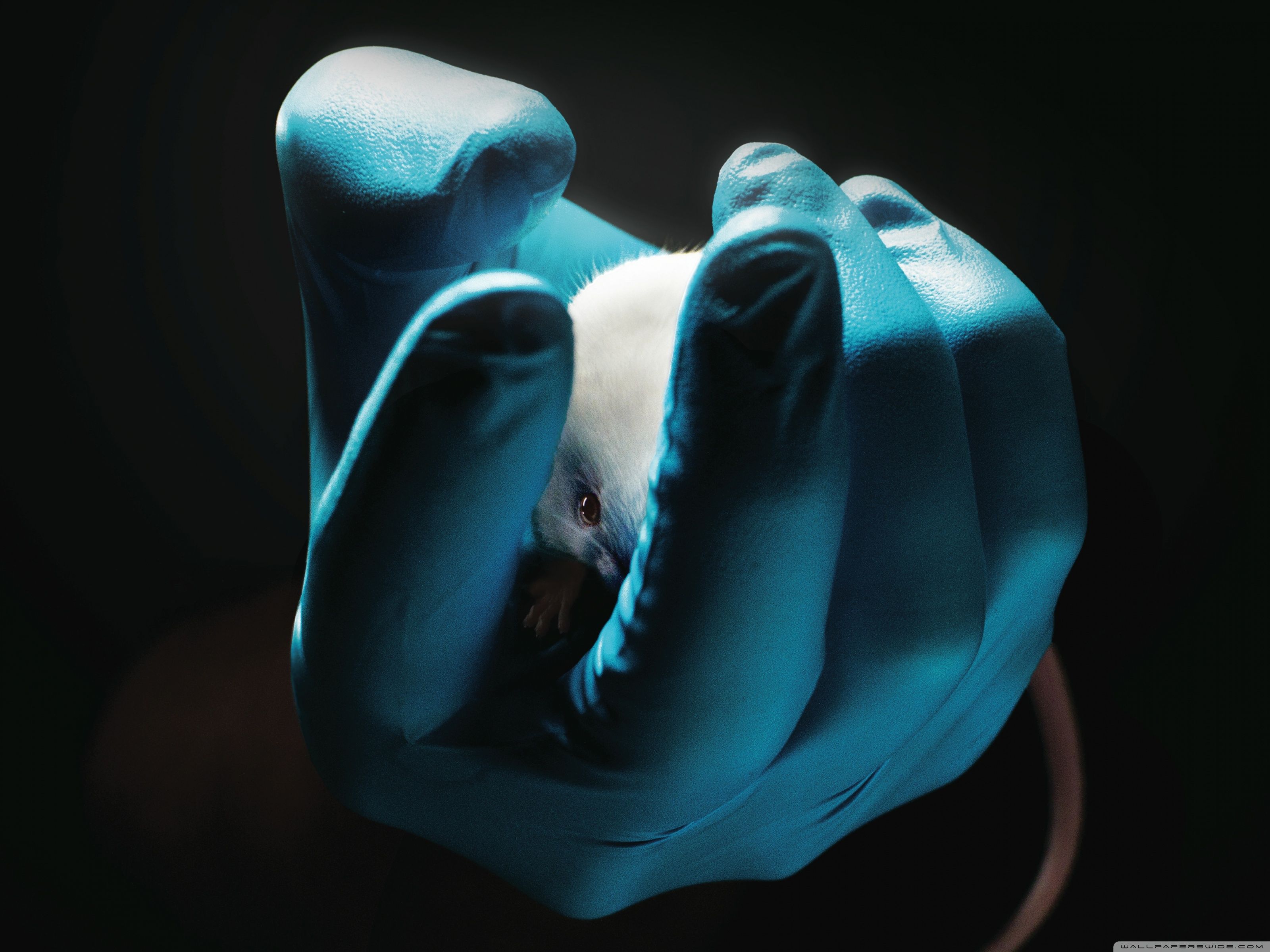 Human Error Wallpapers - Wallpaper Cave