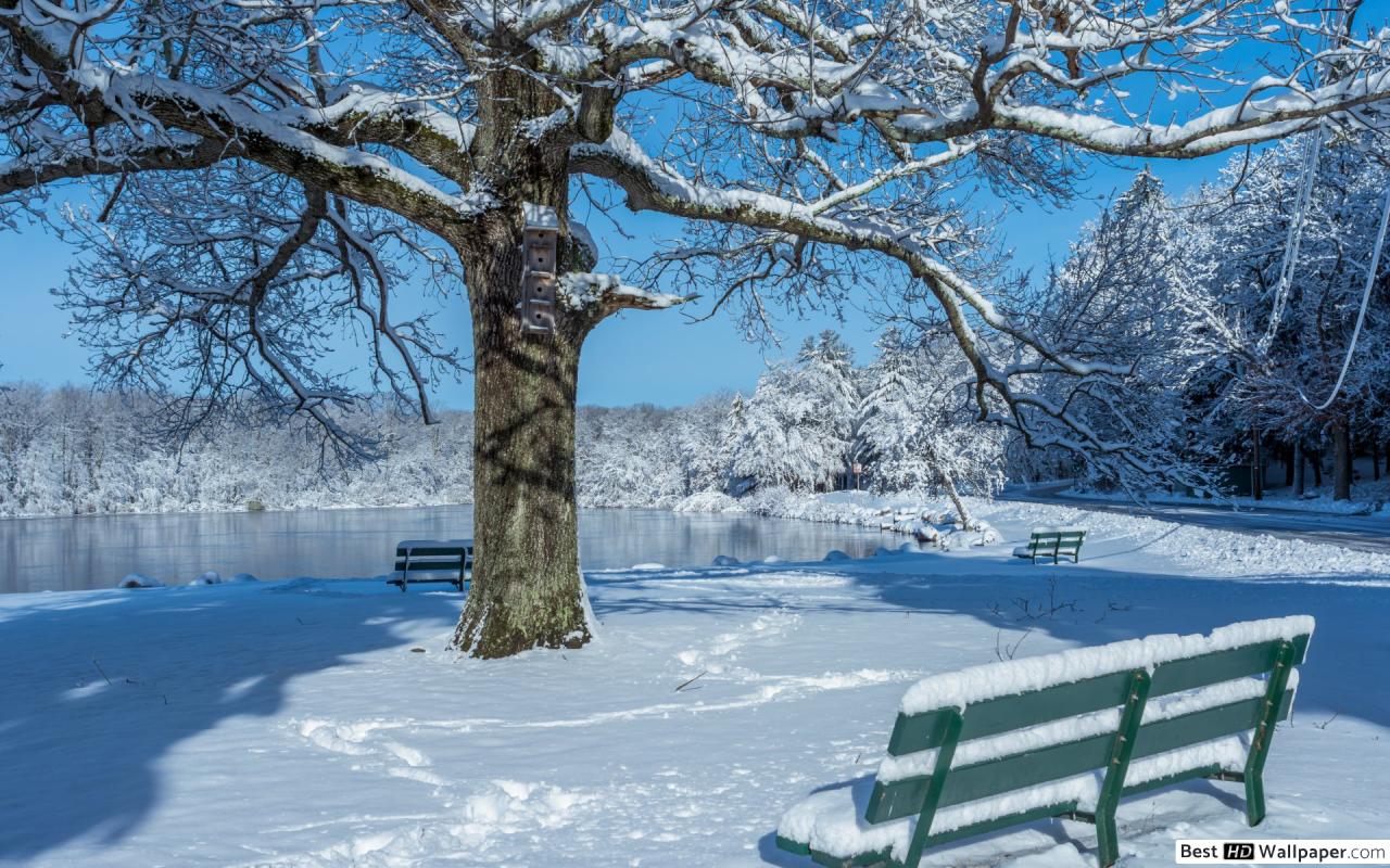 Winter Pond Wallpapers - Wallpaper Cave