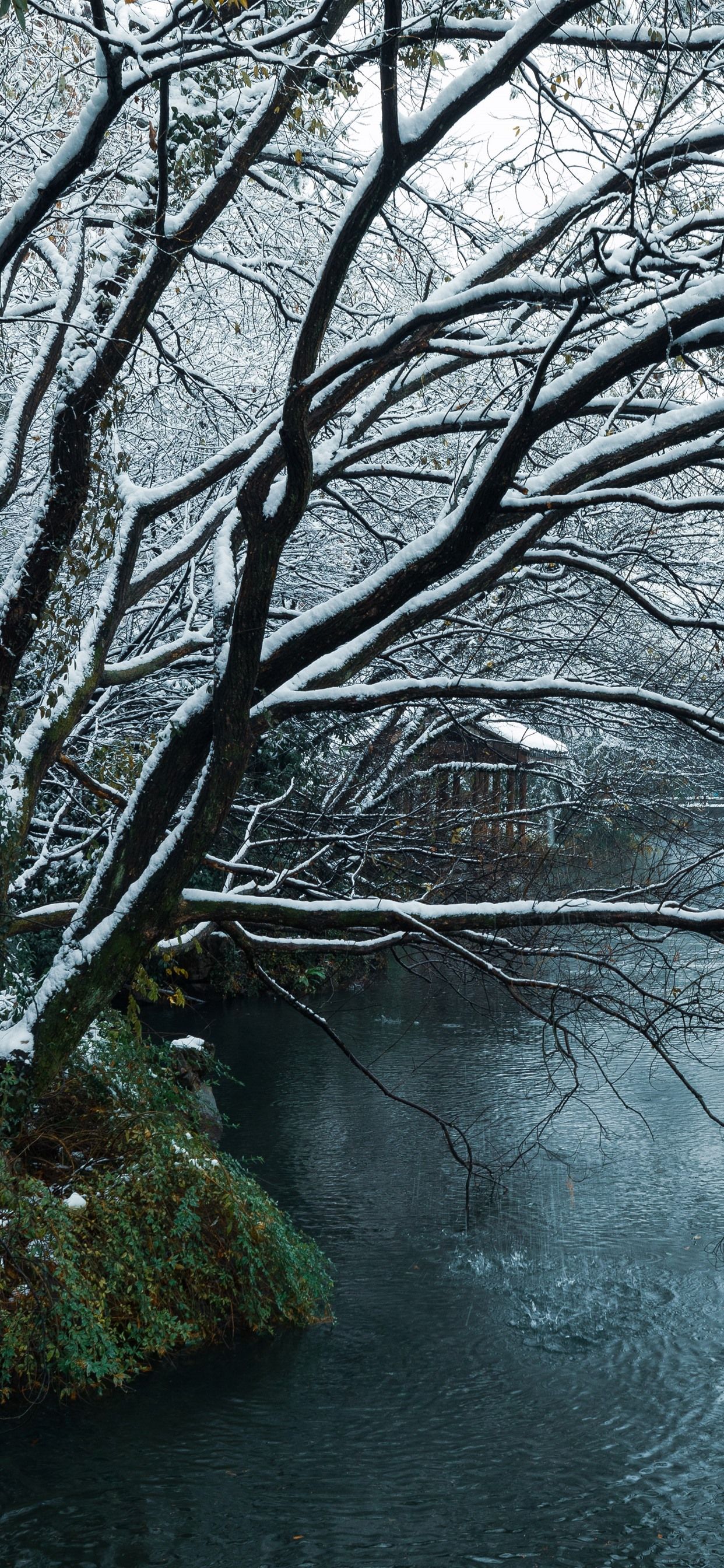 Winter Pond Wallpapers - Wallpaper Cave