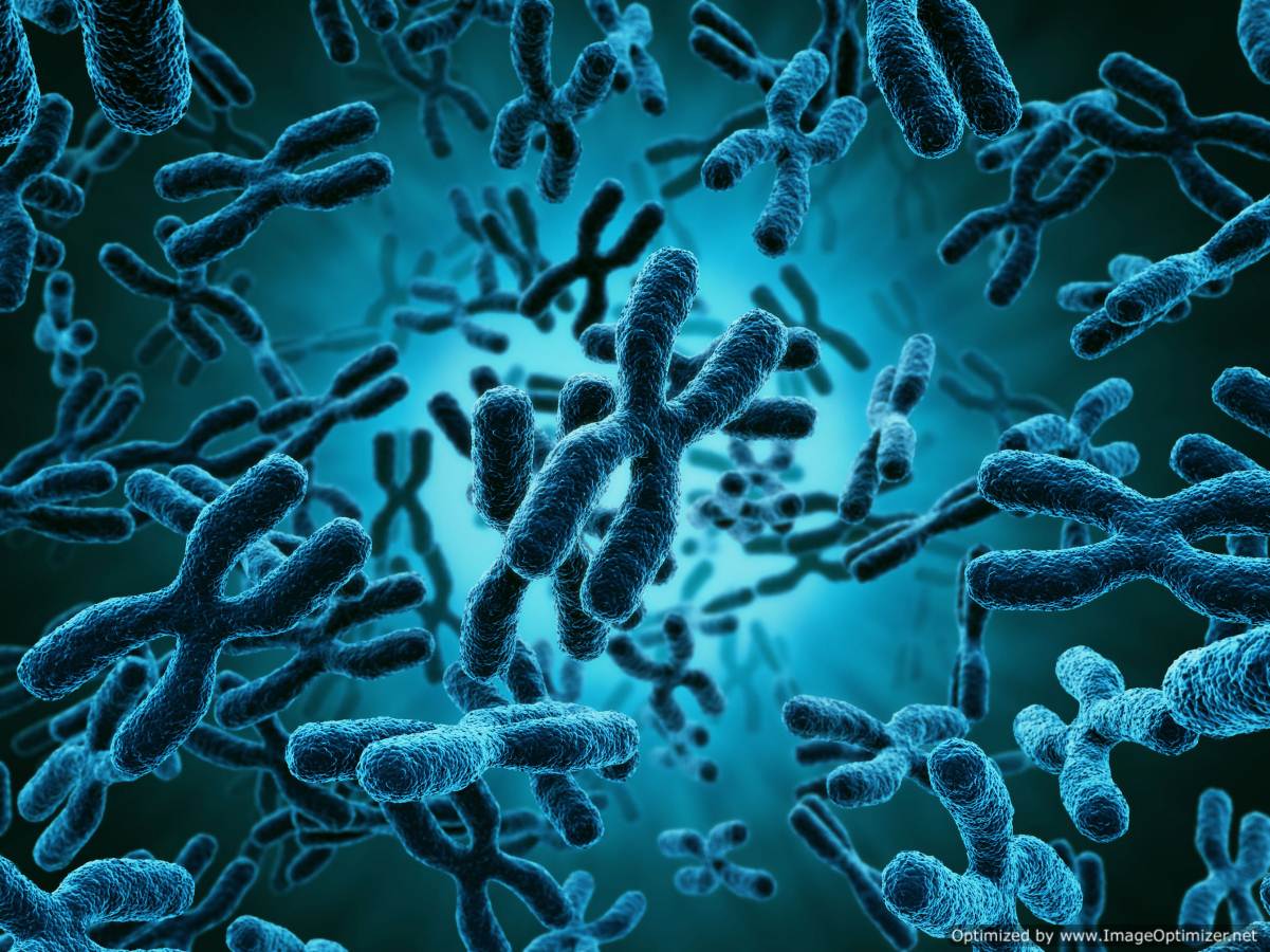 Biology Laptop Wallpapers - Wallpaper Cave