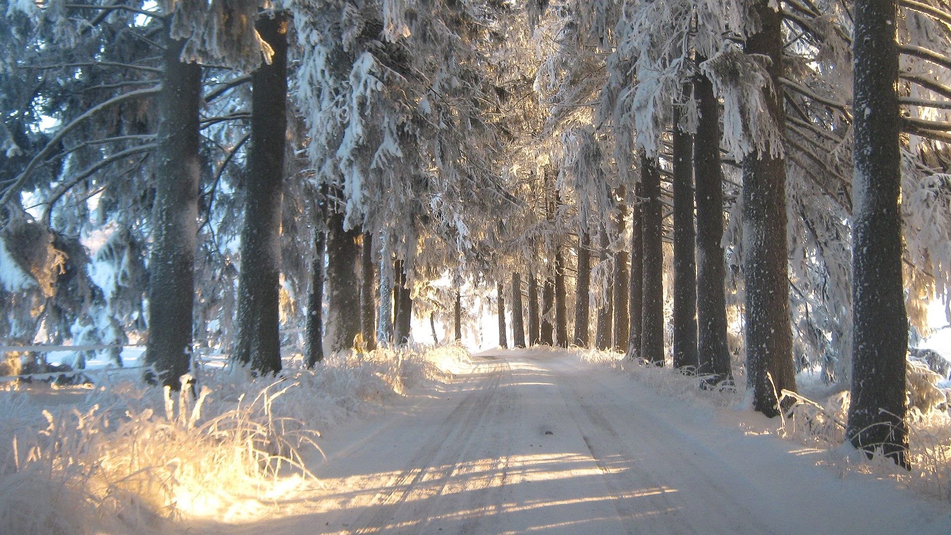 Windows Winter Wallpapers - Wallpaper Cave