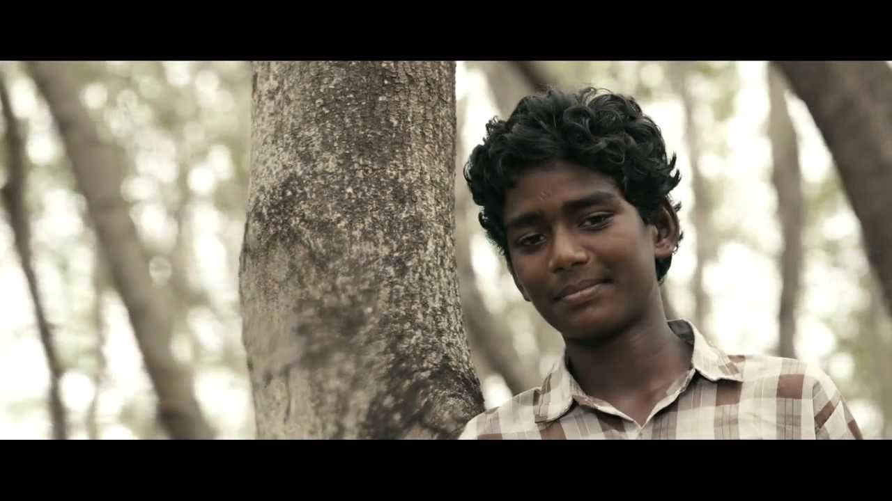 Fandry Wallpapers - Wallpaper Cave