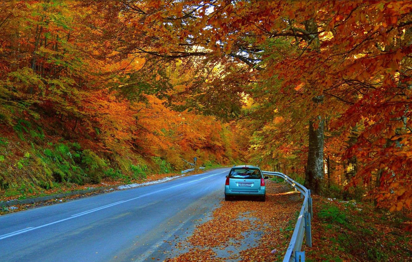 Autumn And Car Wallpapers - Wallpaper Cave