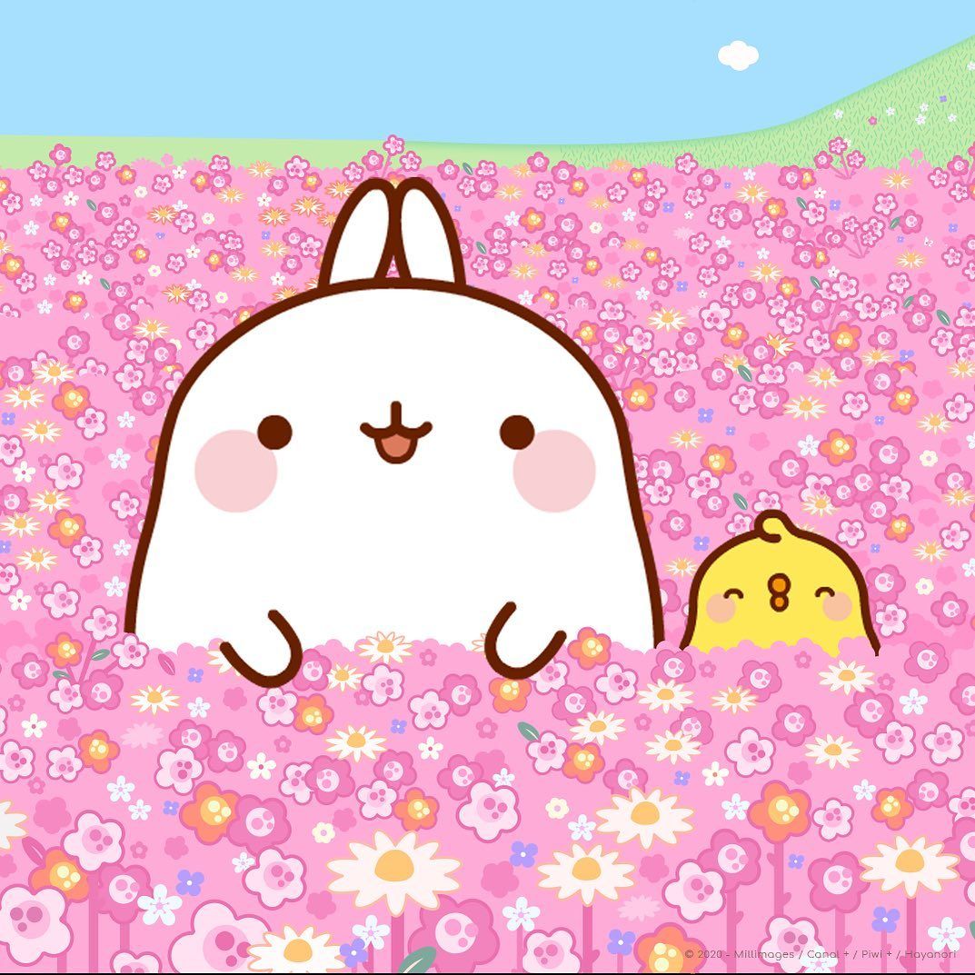 Cute Molang Spring Wallpapers - Wallpaper Cave
