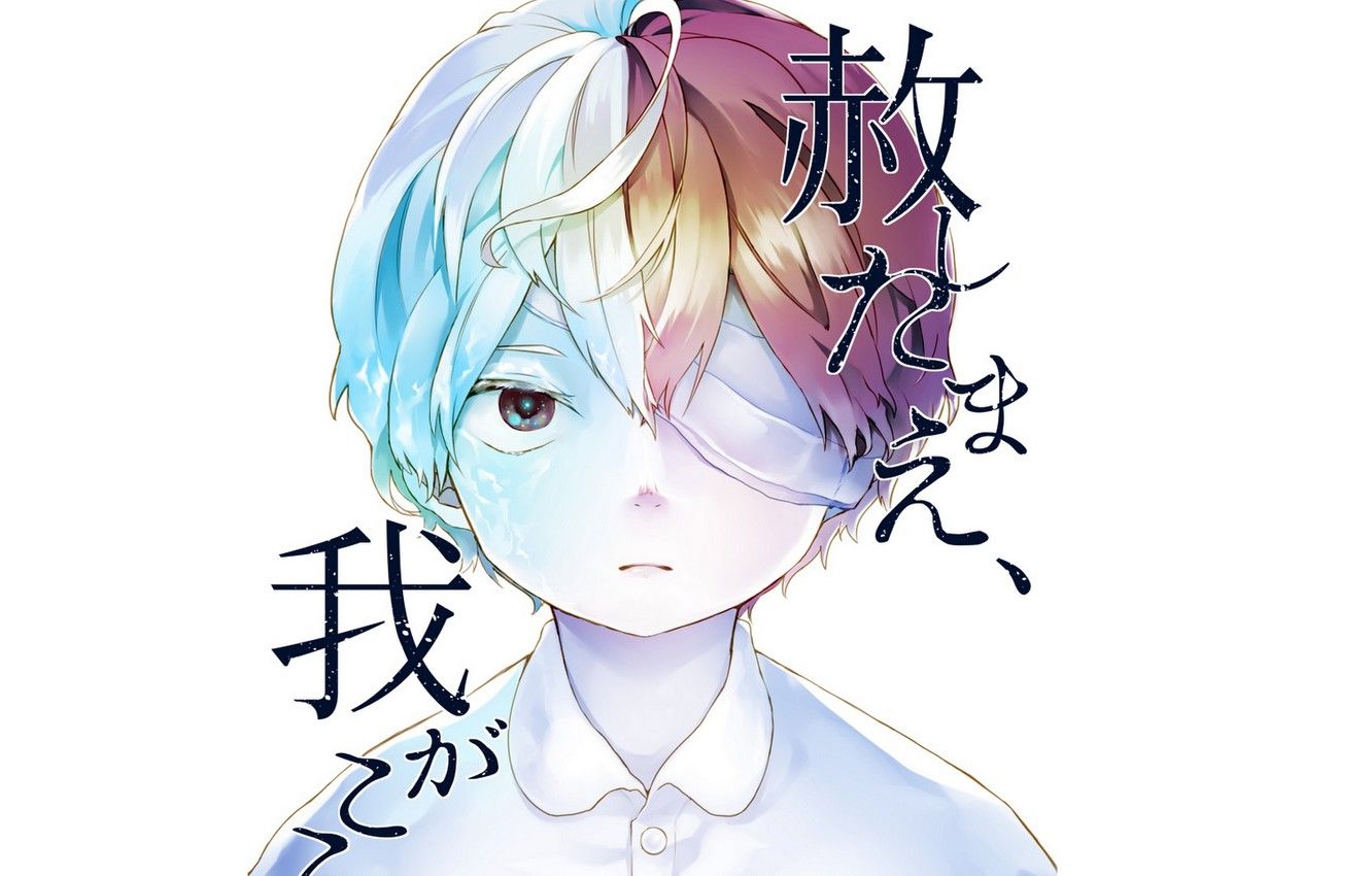 Todoroki Child Wallpapers - Wallpaper Cave