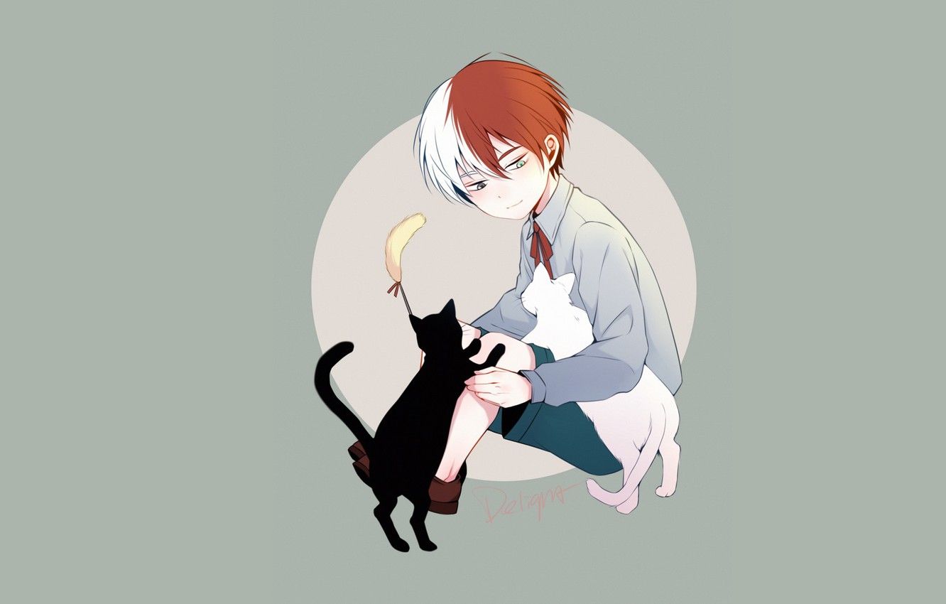 Todoroki Child Wallpapers - Wallpaper Cave