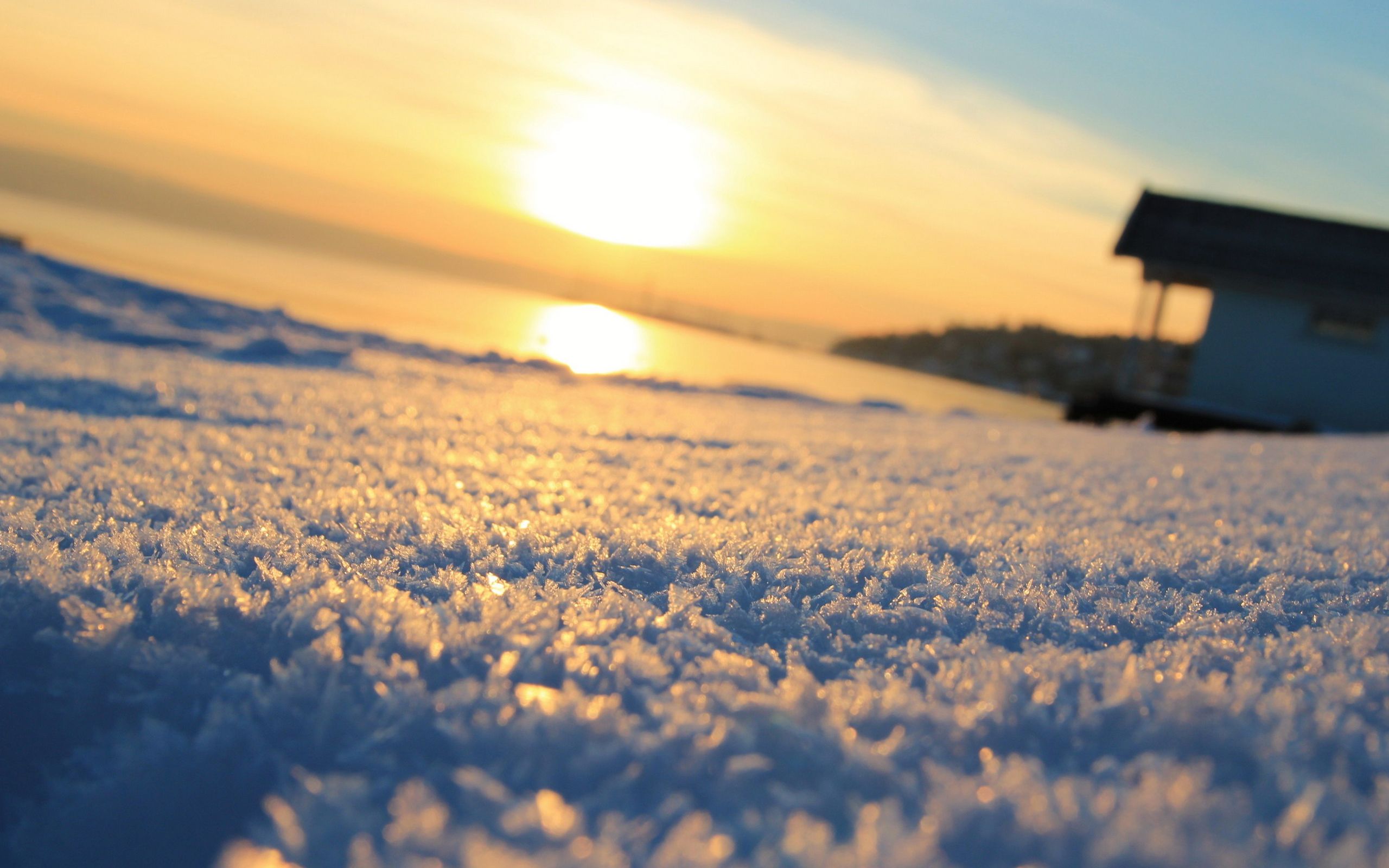 Winter Blur Wallpapers Wallpaper Cave